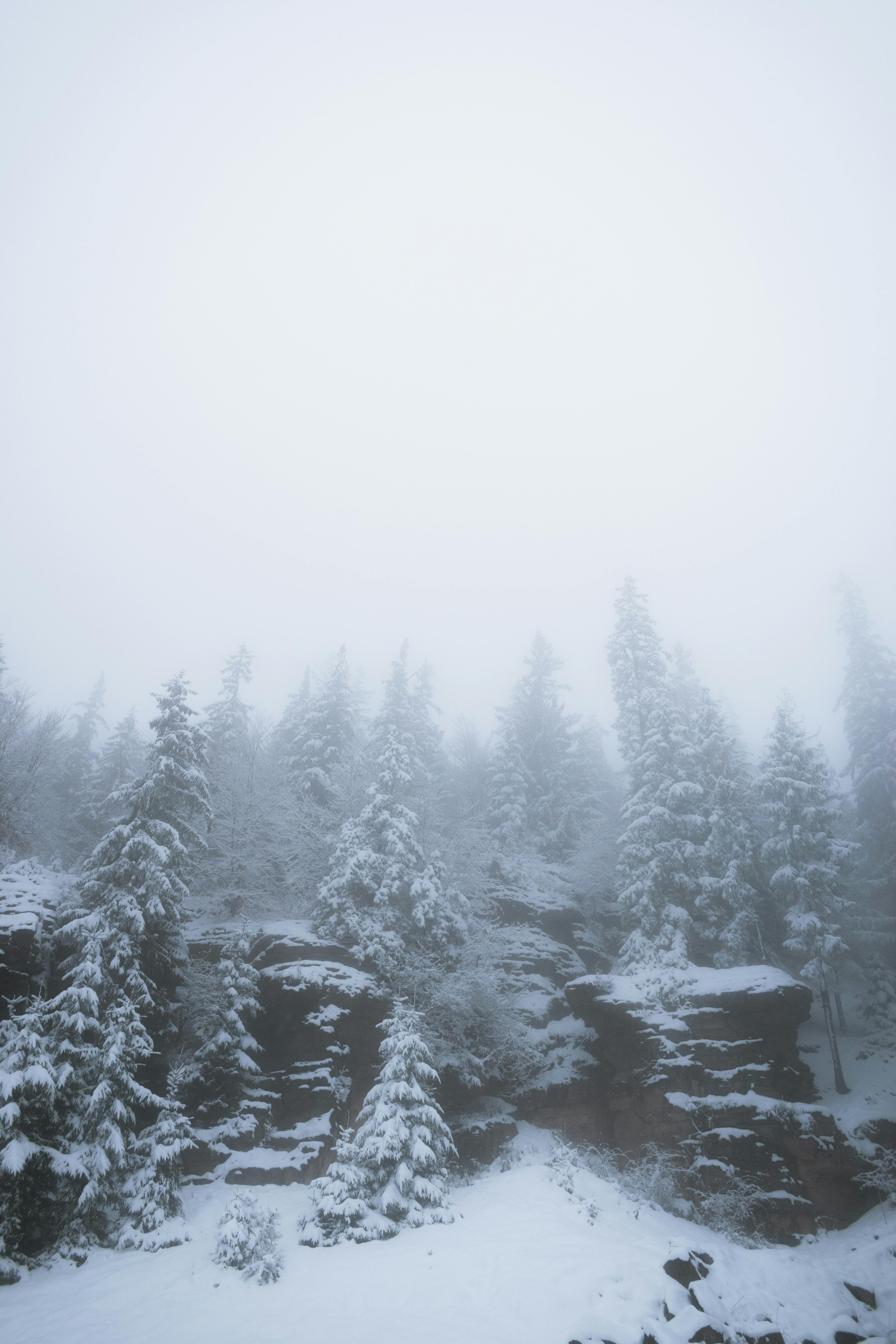 Snow Covered Rock Formation with Trees · Free Stock Photo