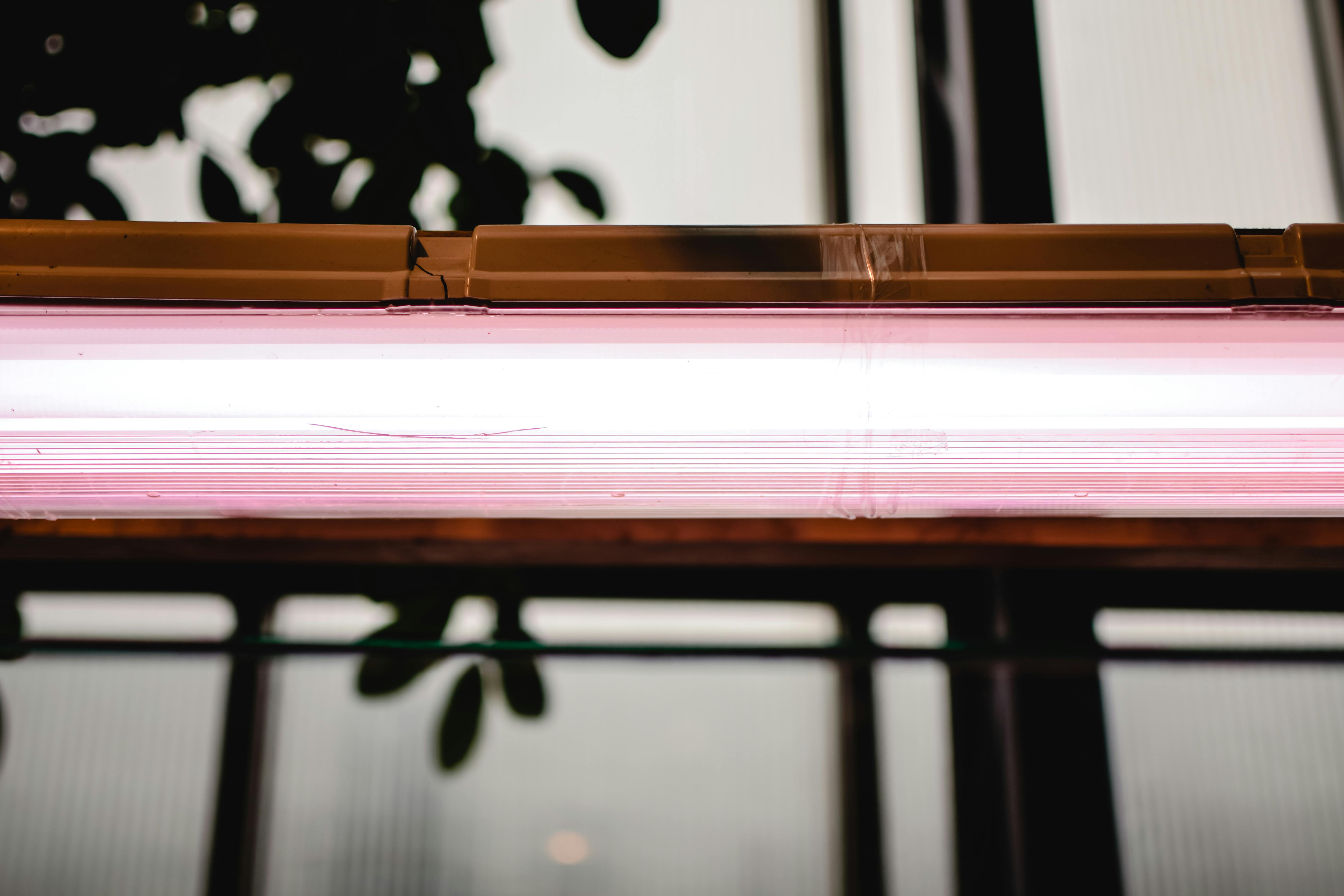 Close-up Photo of a Pink Neon Light · Free Stock Photo