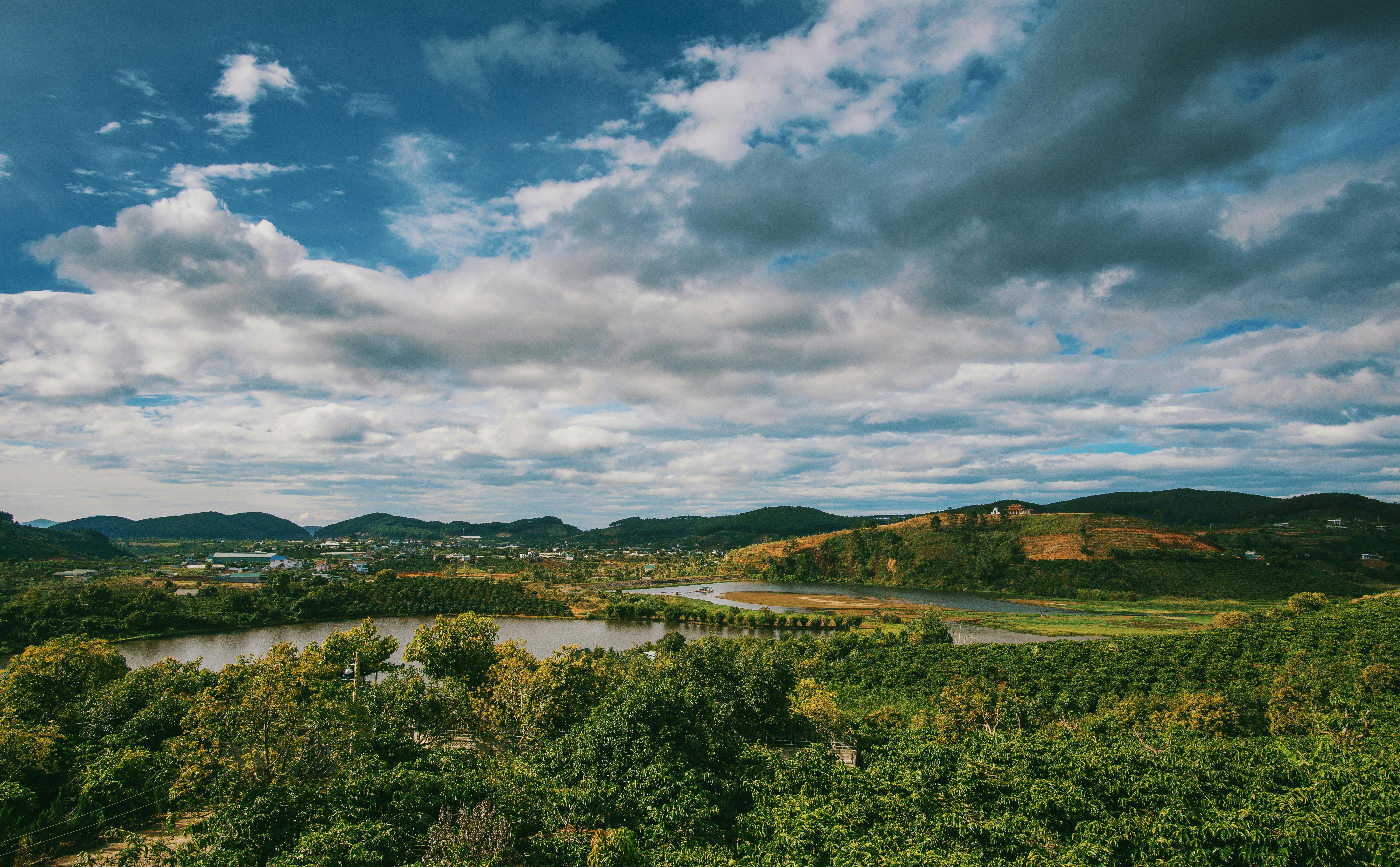 Top View Photography of Green Forest · Free Stock Photo