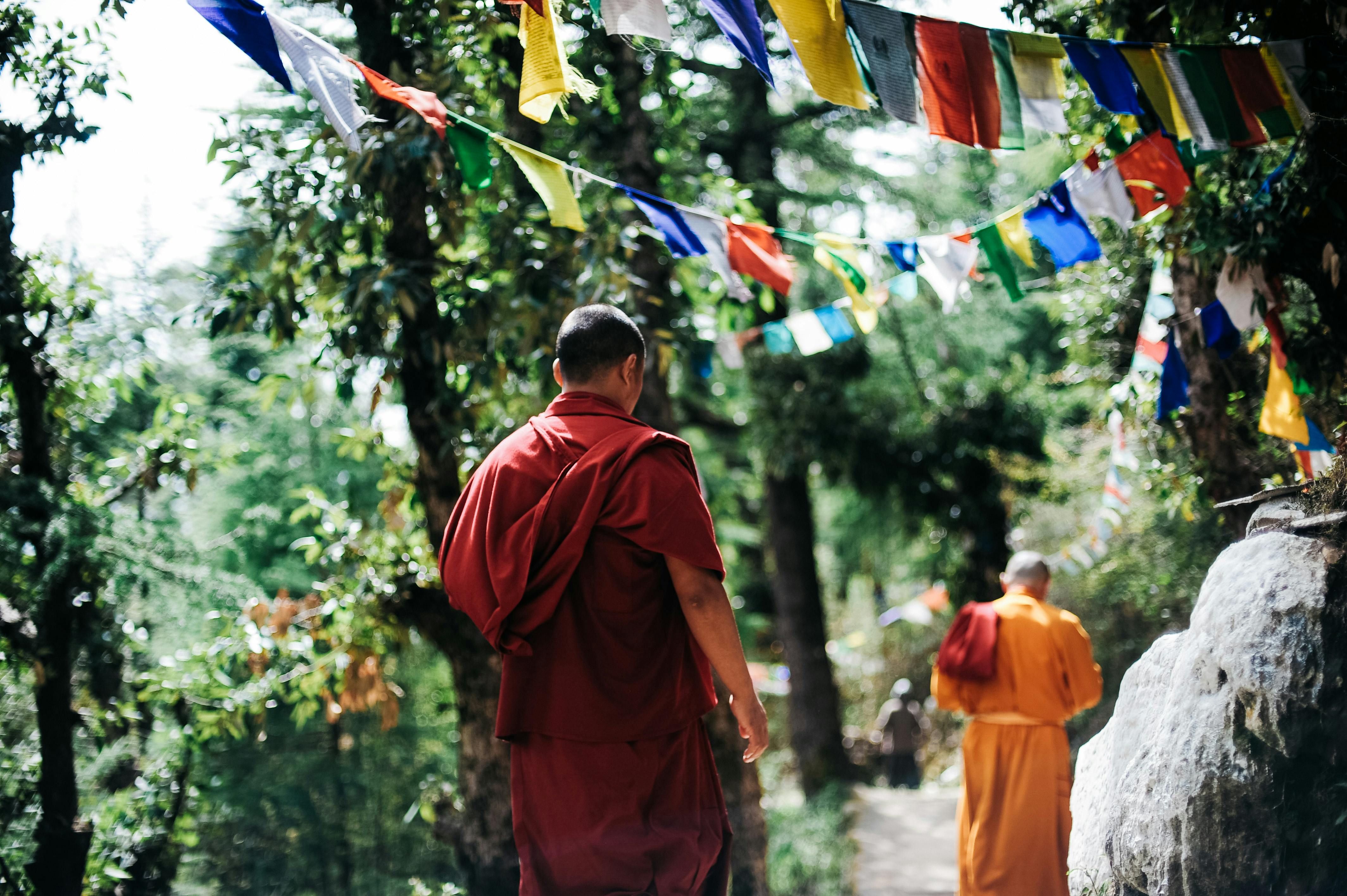 Two Monks Walking Between Trees · Free Stock Photo