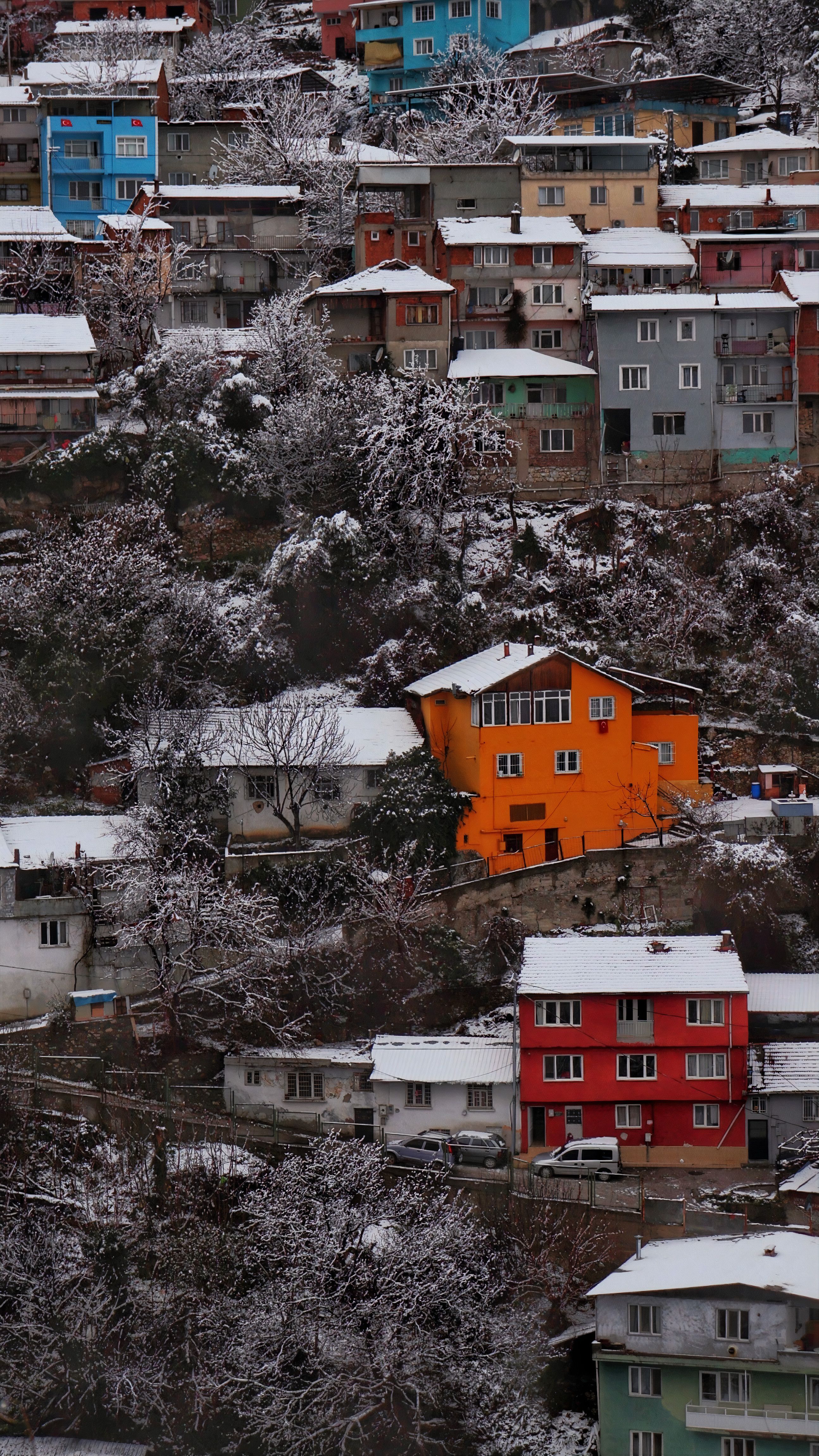 Buildings Covered in Snow · Free Stock Photo