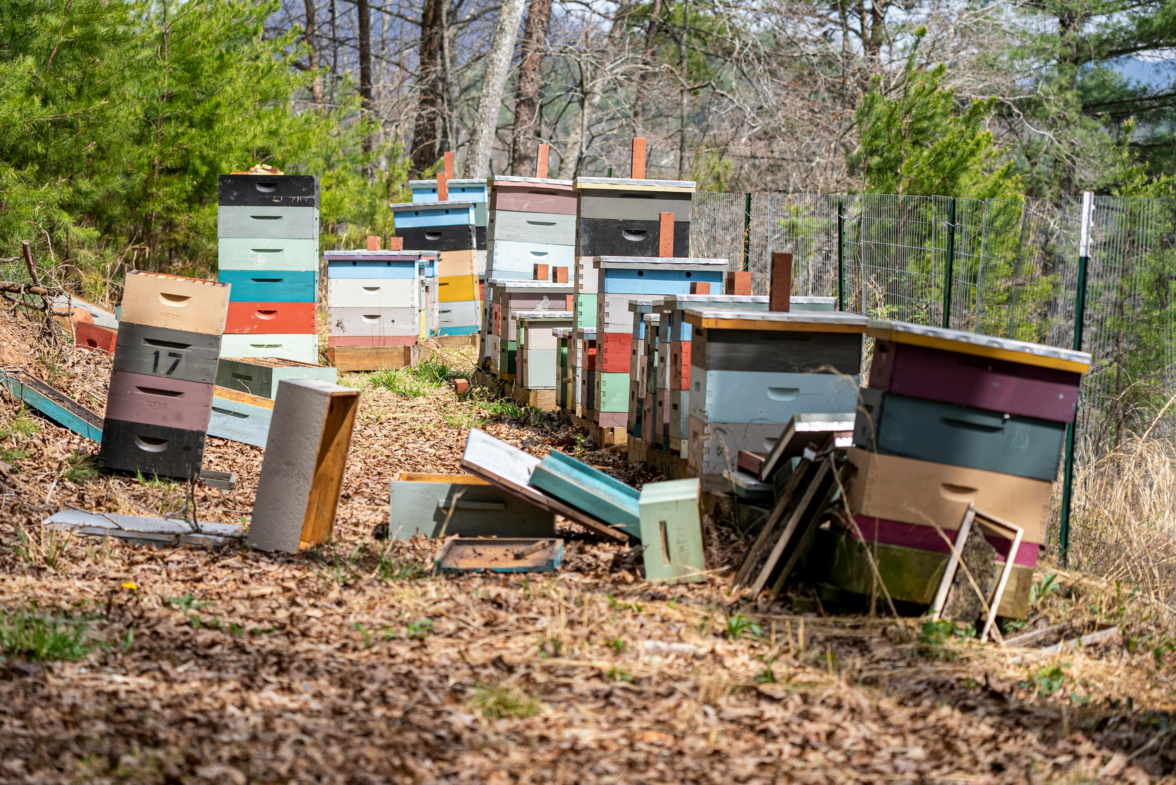 Colorful Bee Hives · Free Stock Photo