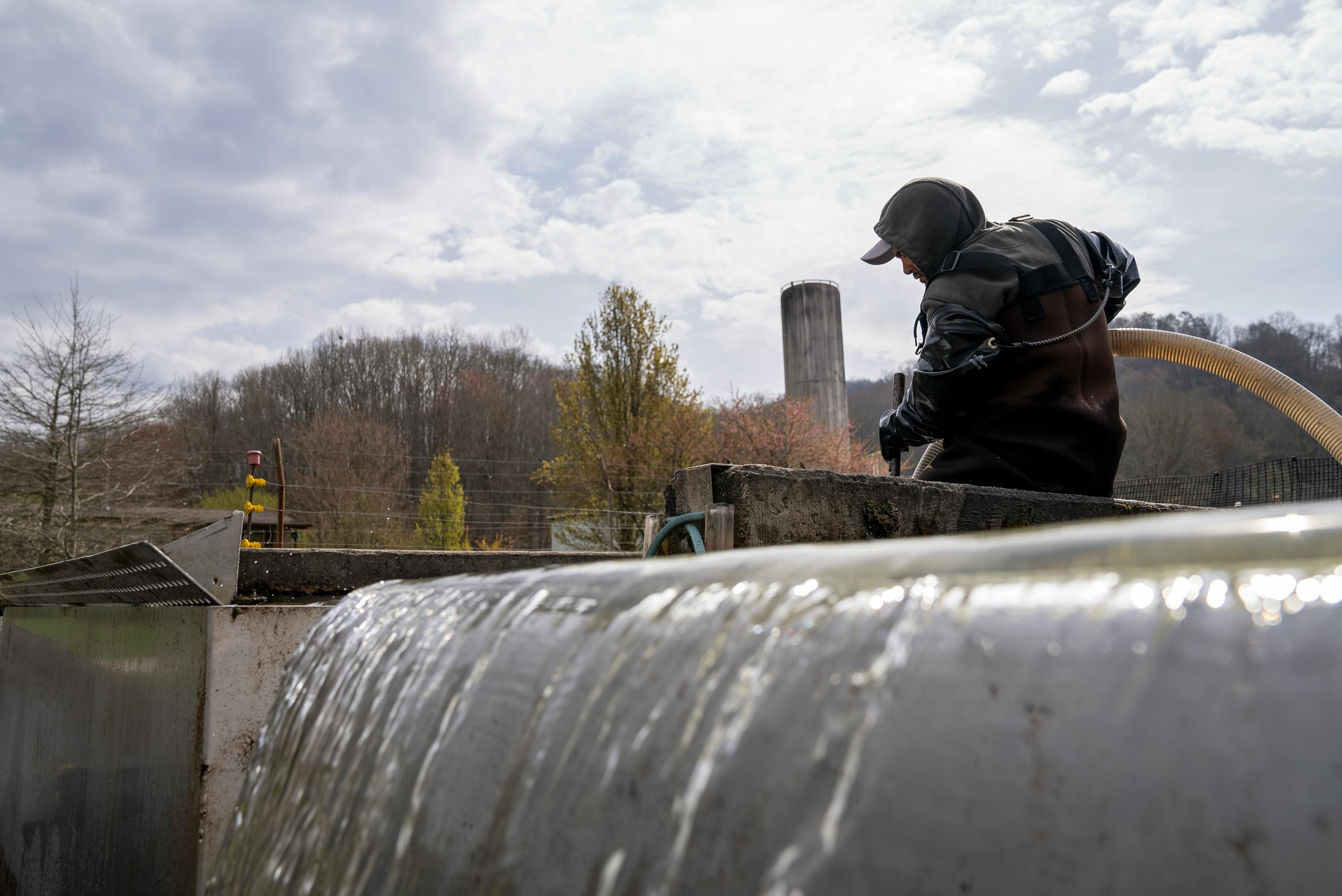Fish Farm 12个图片和视频，由Mark Stebnicki收藏