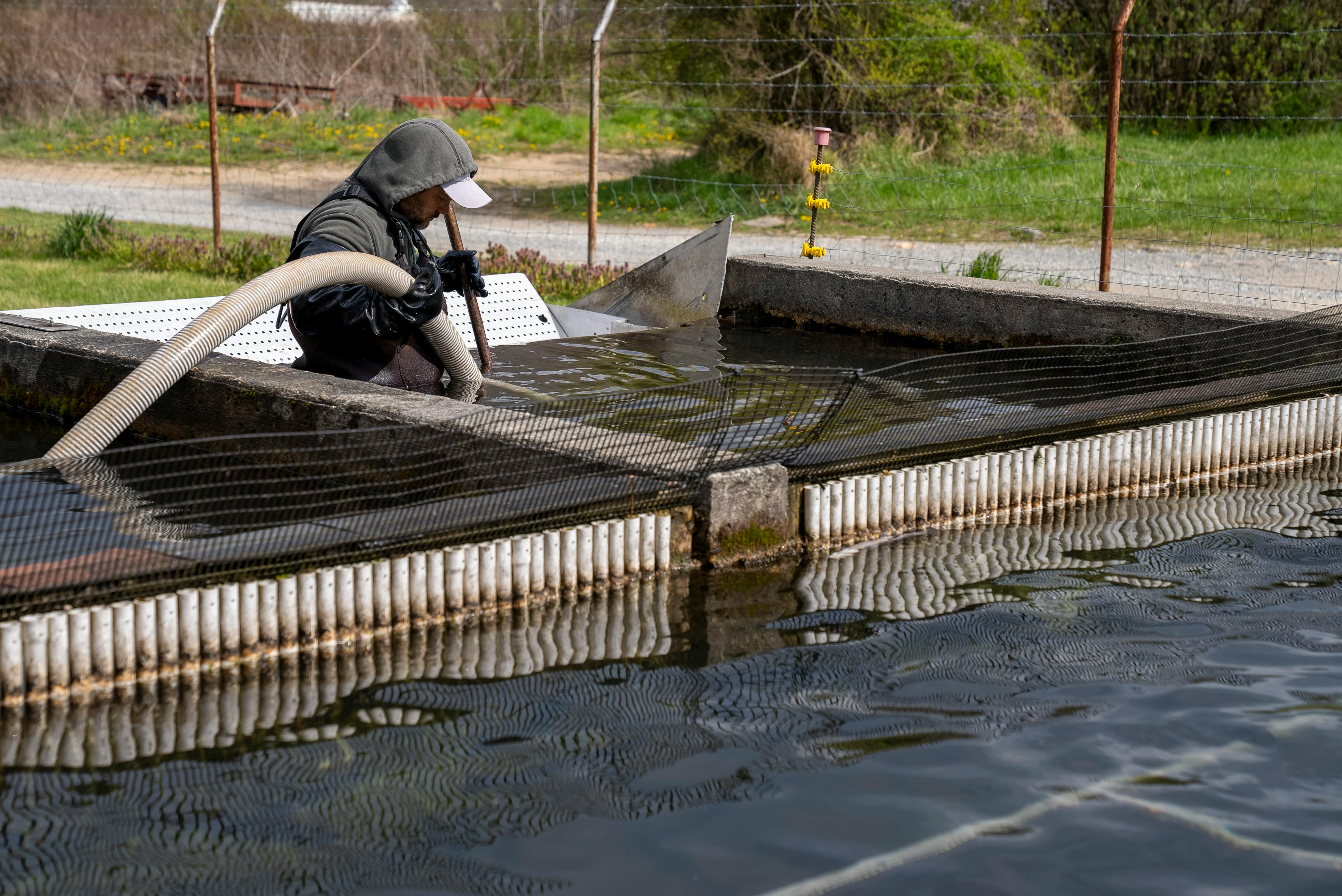 Fish Farming Photos, Download The BEST Free Fish Farming Stock Photos ...