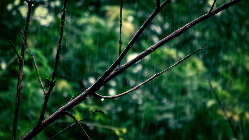 Raining Photos, Download The BEST Free Raining Stock Photos & HD Images