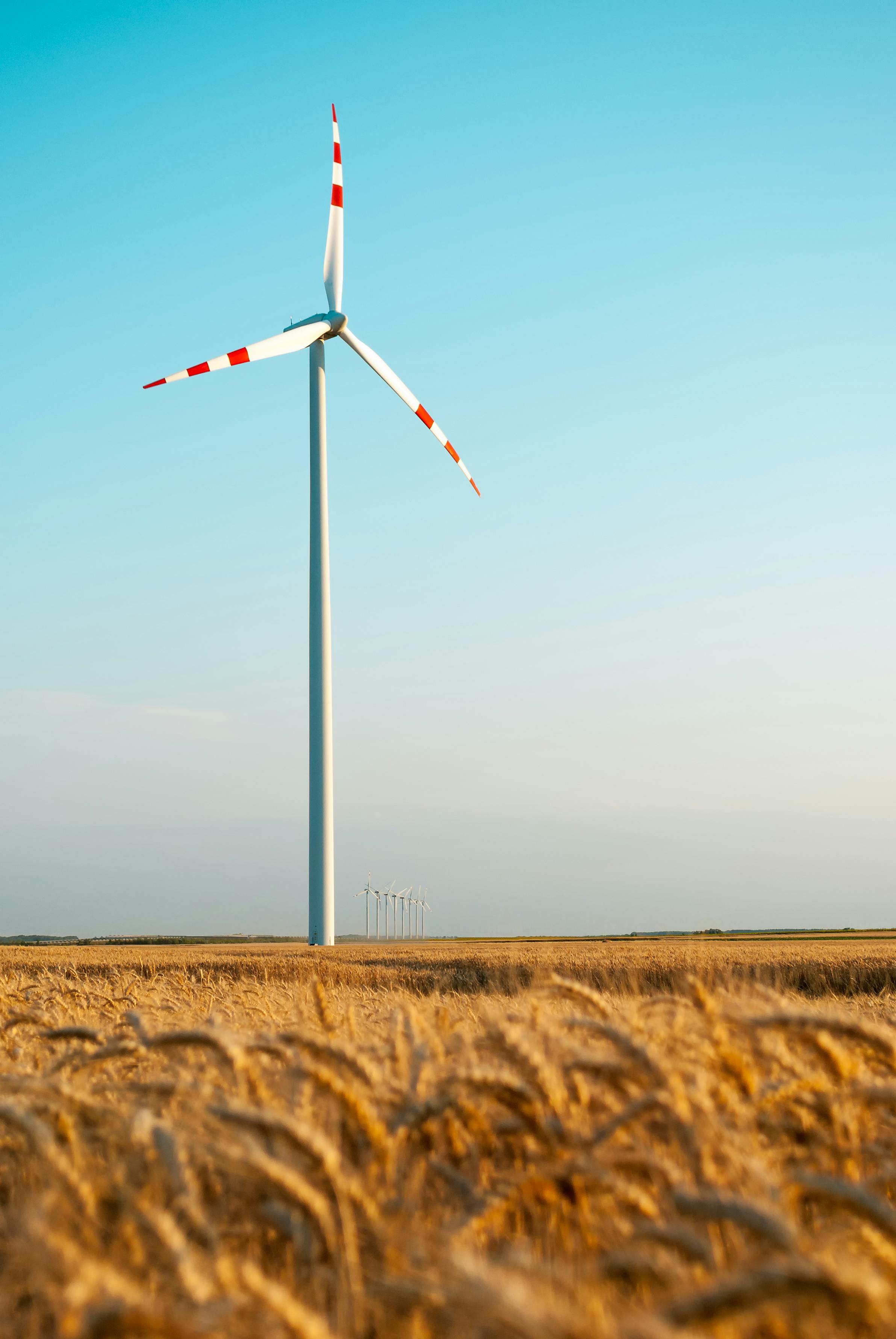 Wind Farm on Green Grass Pastures · Free Stock Photo