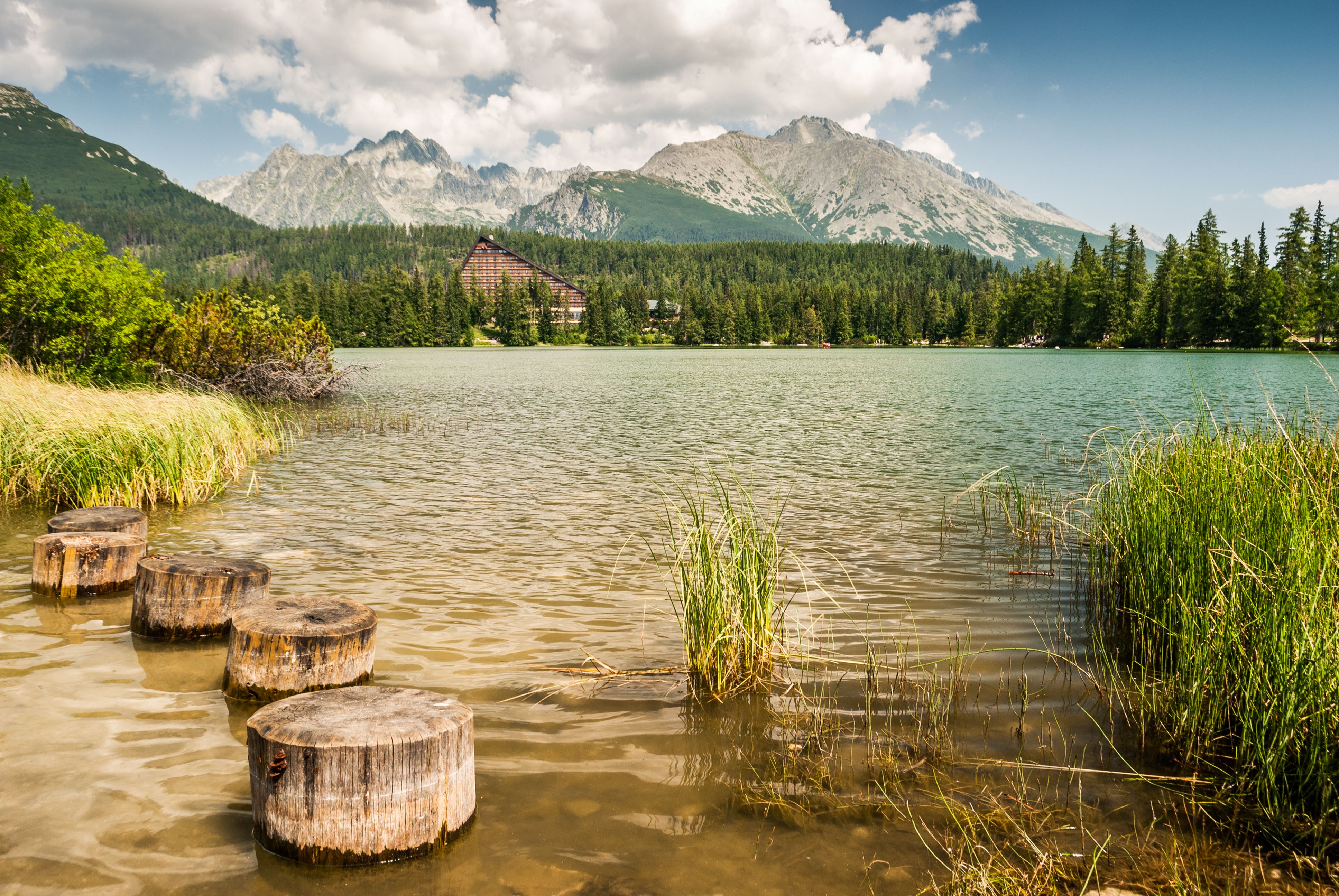 Brown Wooden Log on the Lake · Free Stock Photo