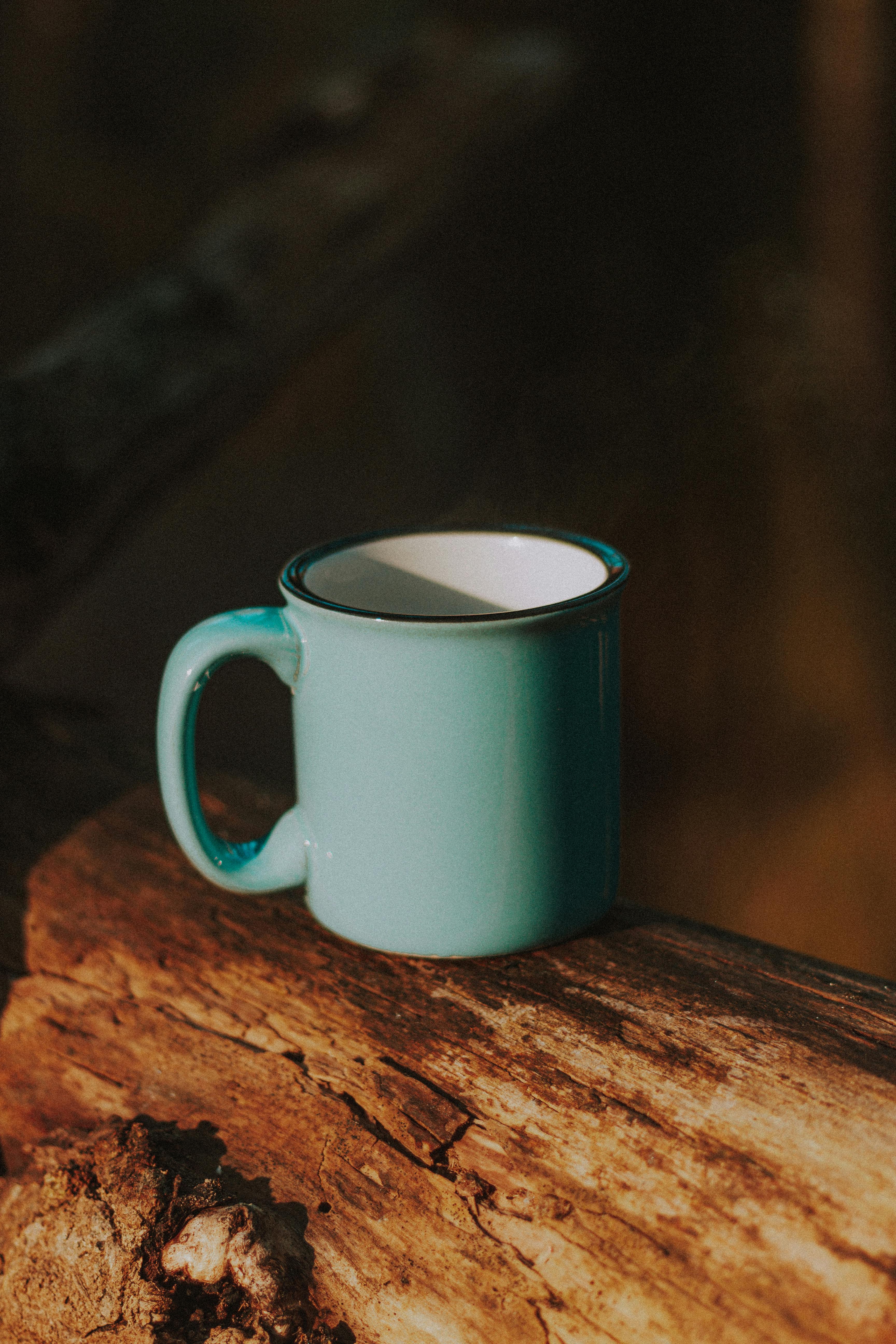 Mug of hot drink on tree trunk in sunshine · Free Stock Photo