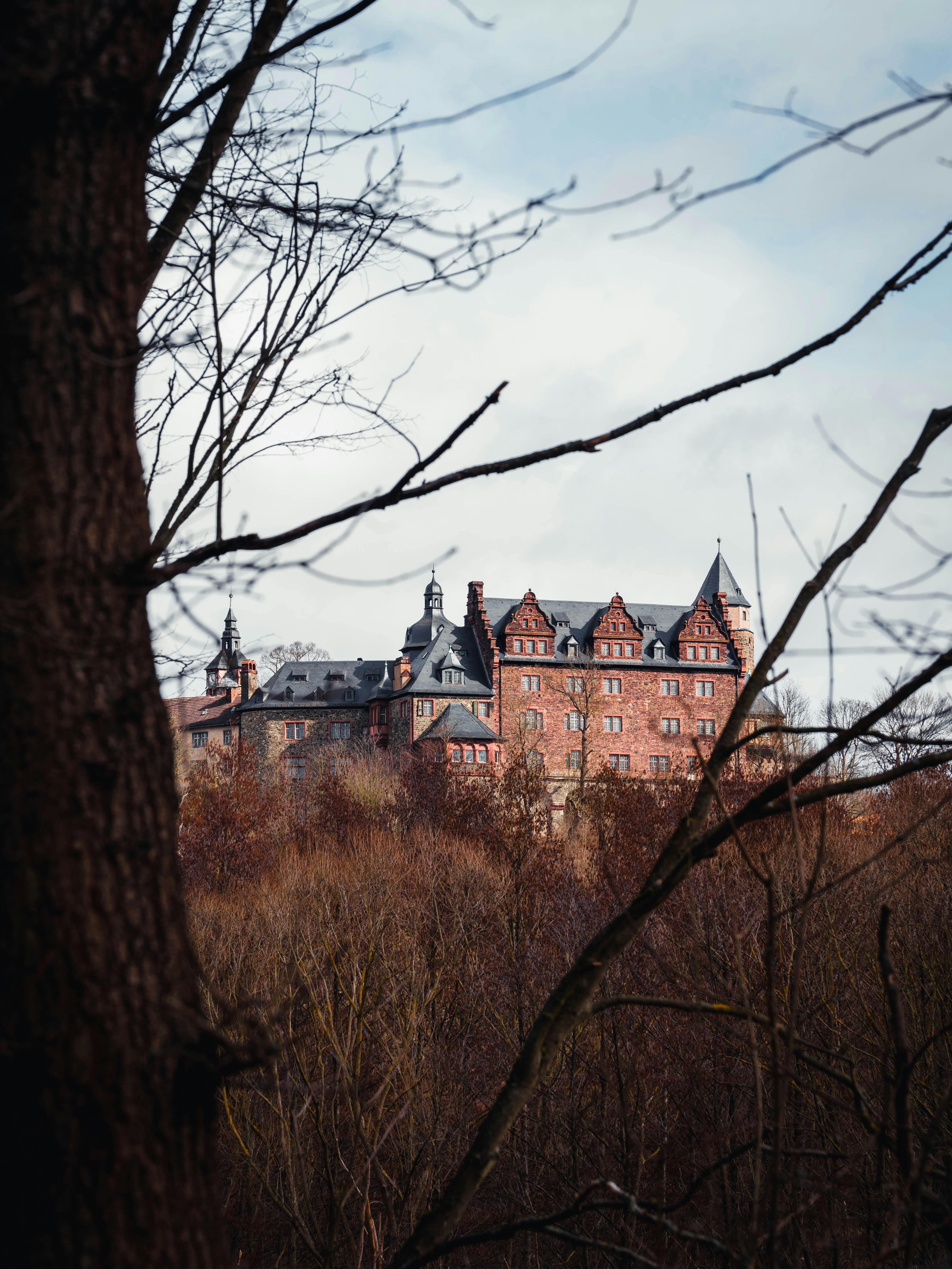Old brick castle located among bare trees · Free Stock Photo