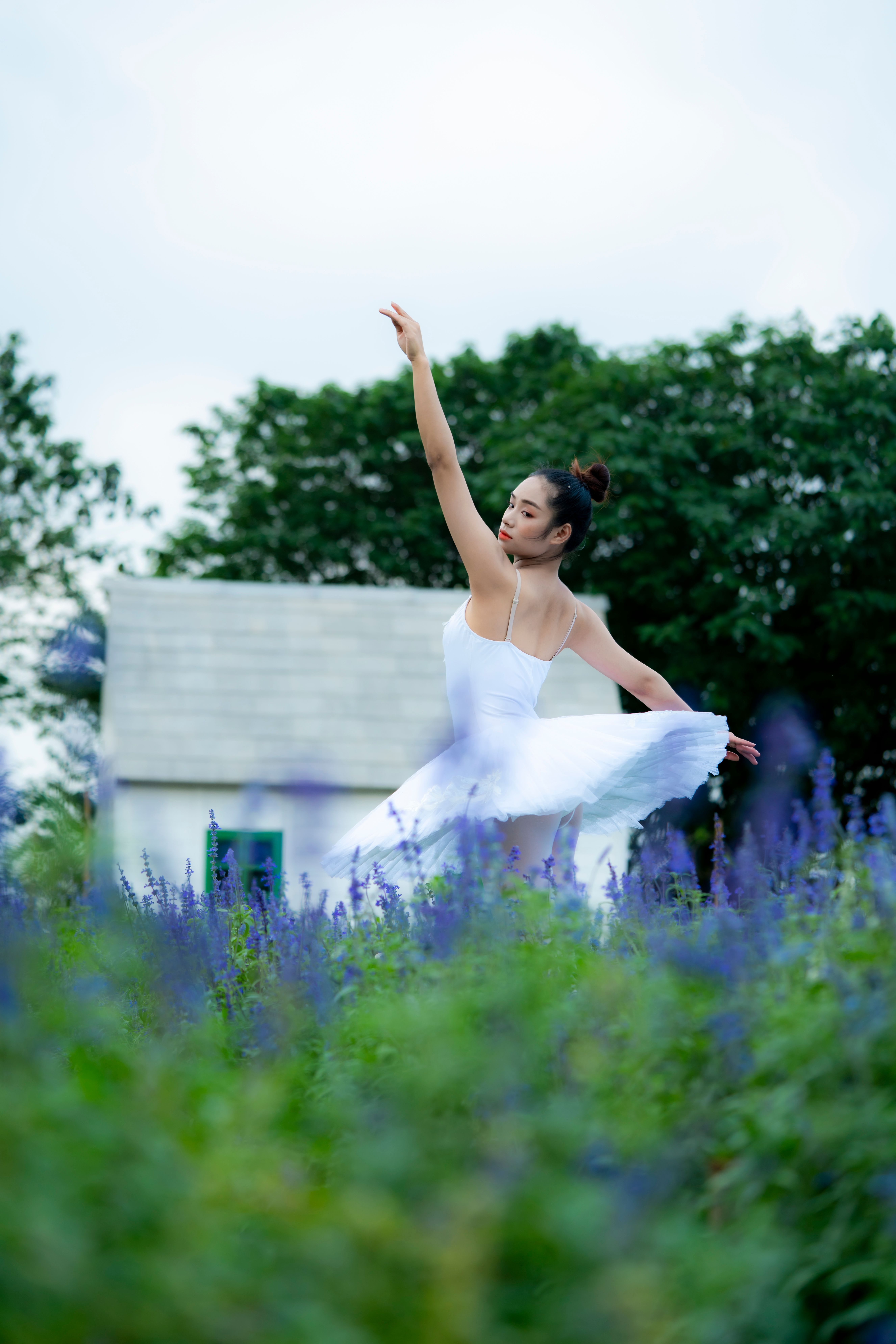 Graceful woman dancing ballet in blooming field · Free Stock Photo