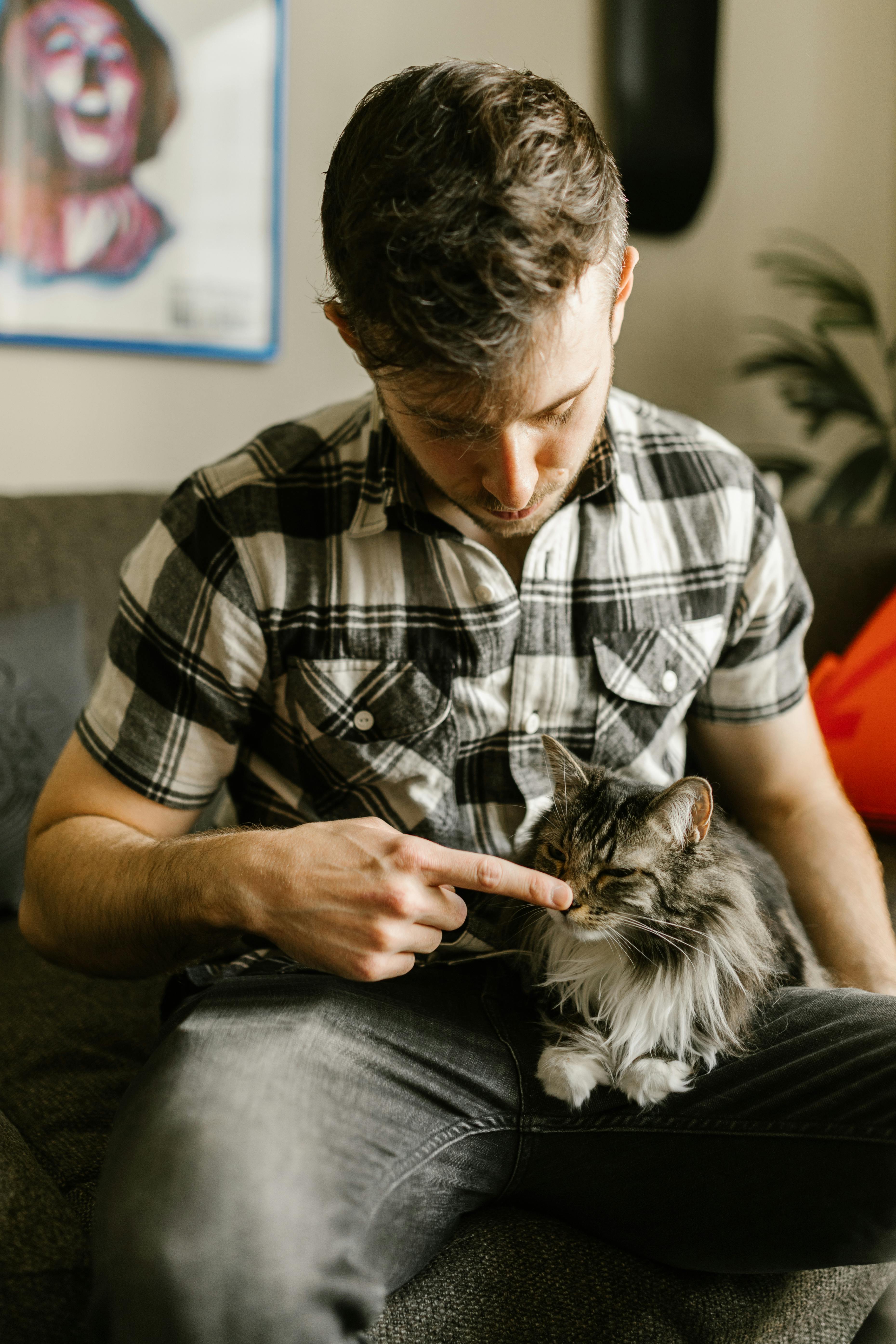 Photo of Cat on Man's Lap · Free Stock Photo