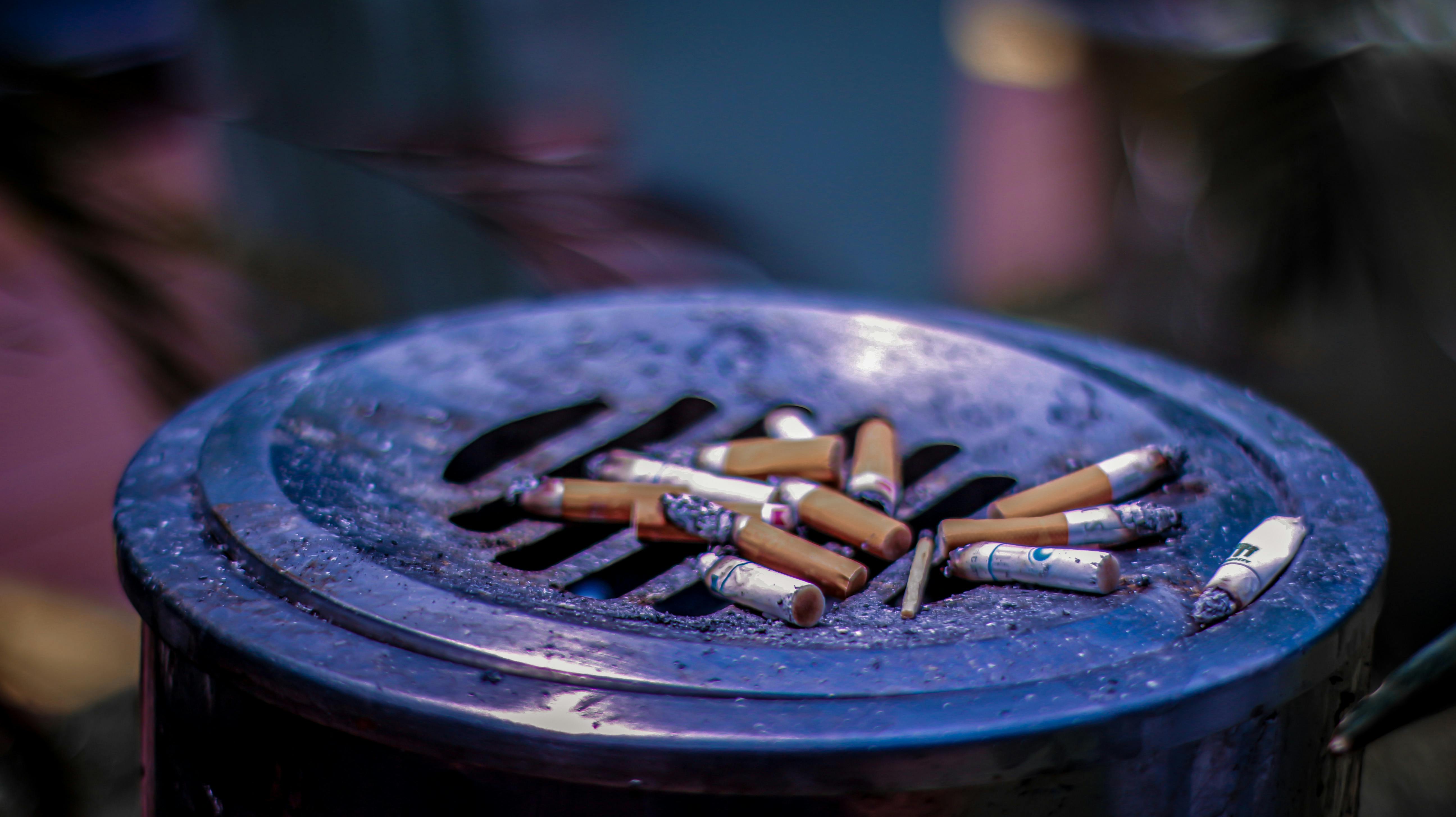 Filthy, Disgusting, "habit" 14 Photos & Videos Collected by Tim