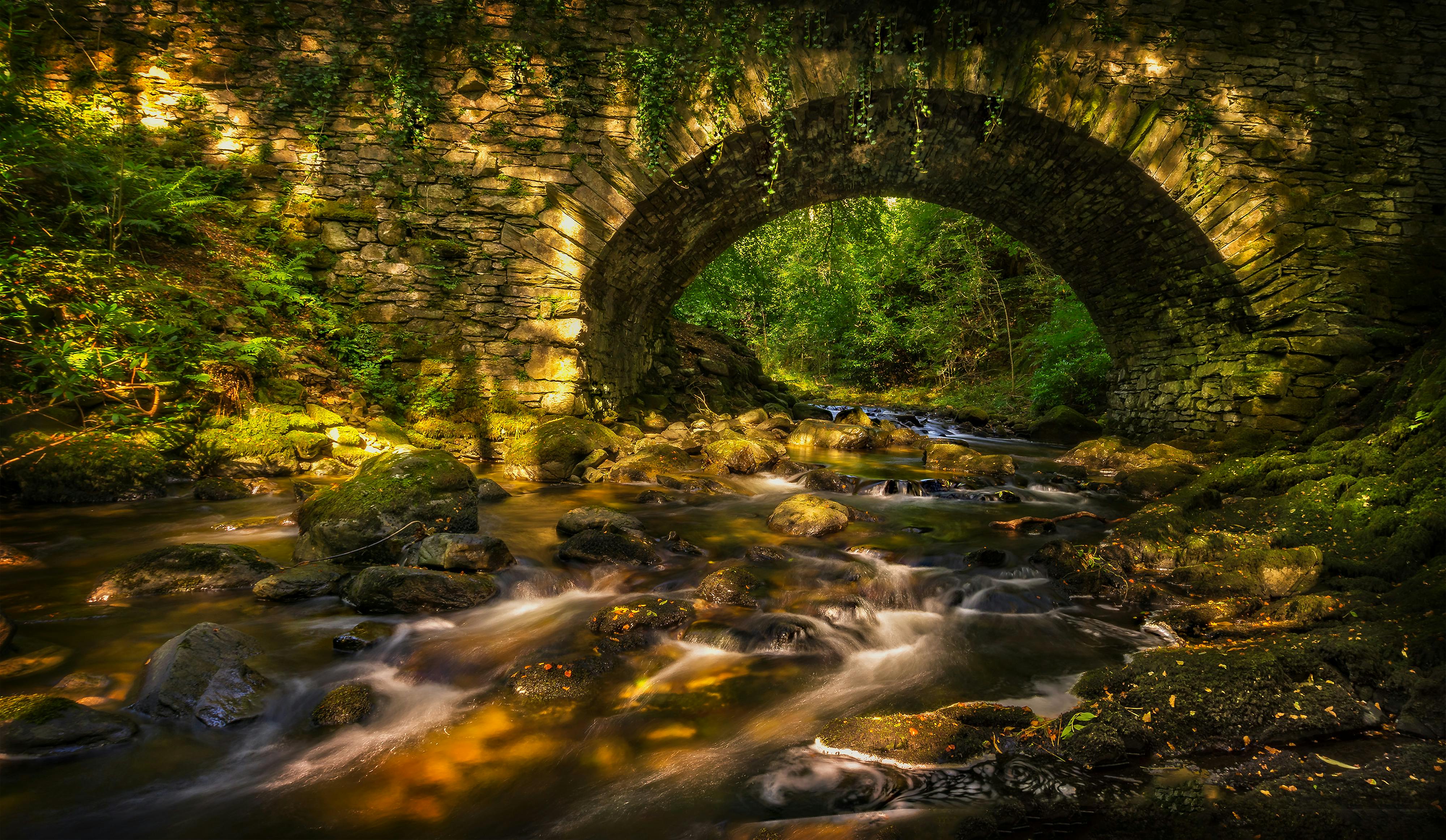 A Rocky River in the Forest · Free Stock Photo