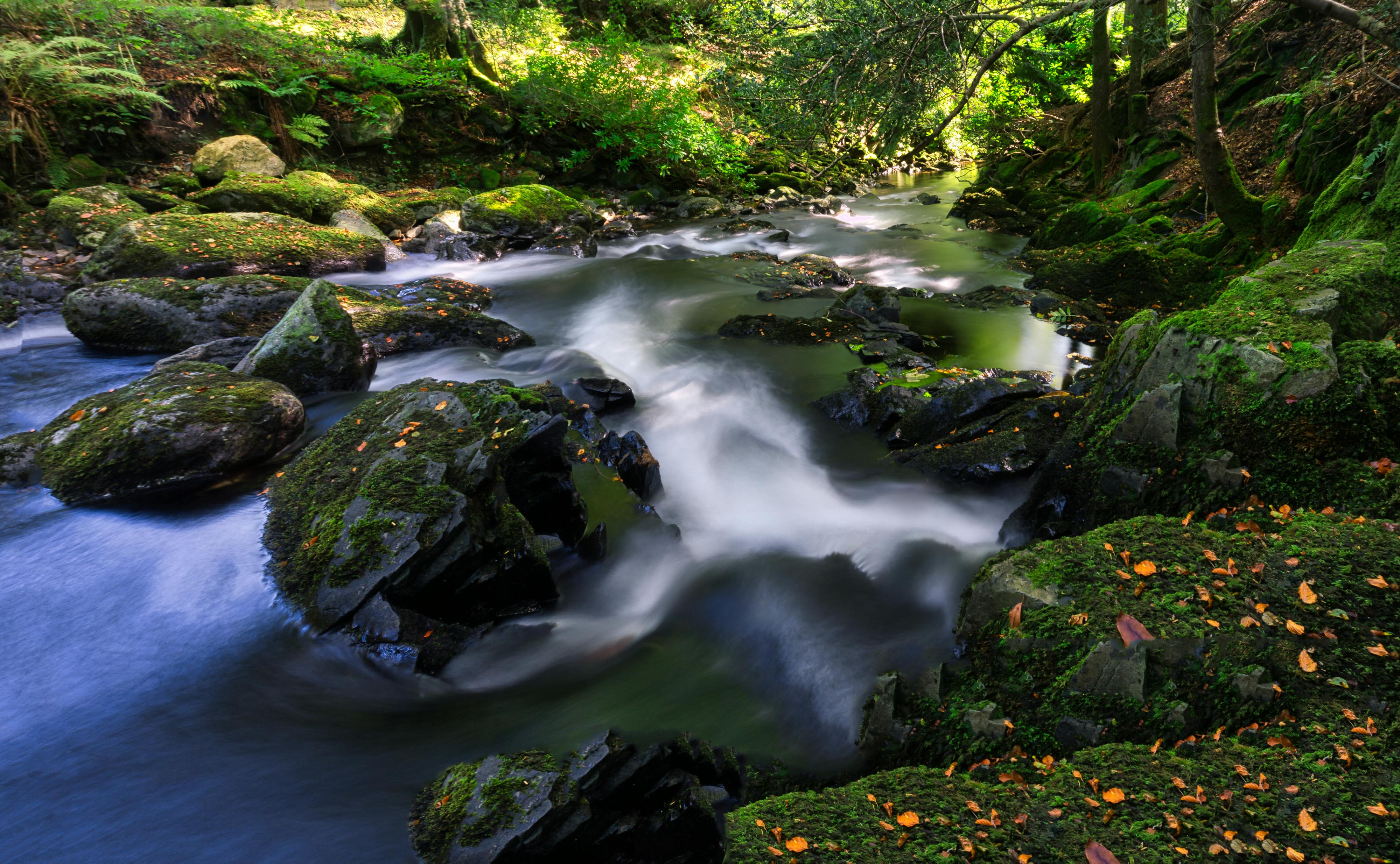 Long-exposure Photography of a Stream · Free Stock Photo