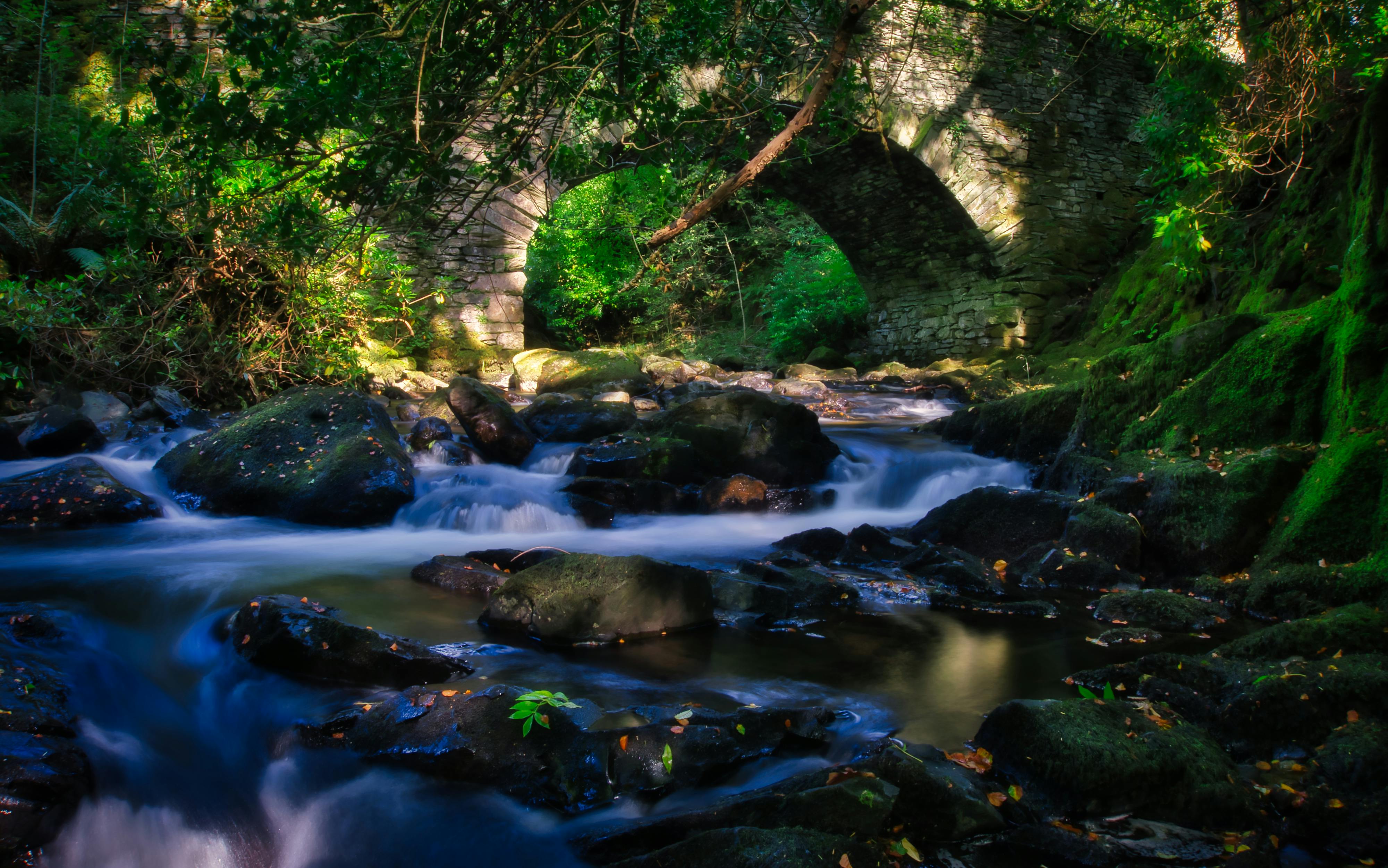 A Rocky River in the Forest · Free Stock Photo