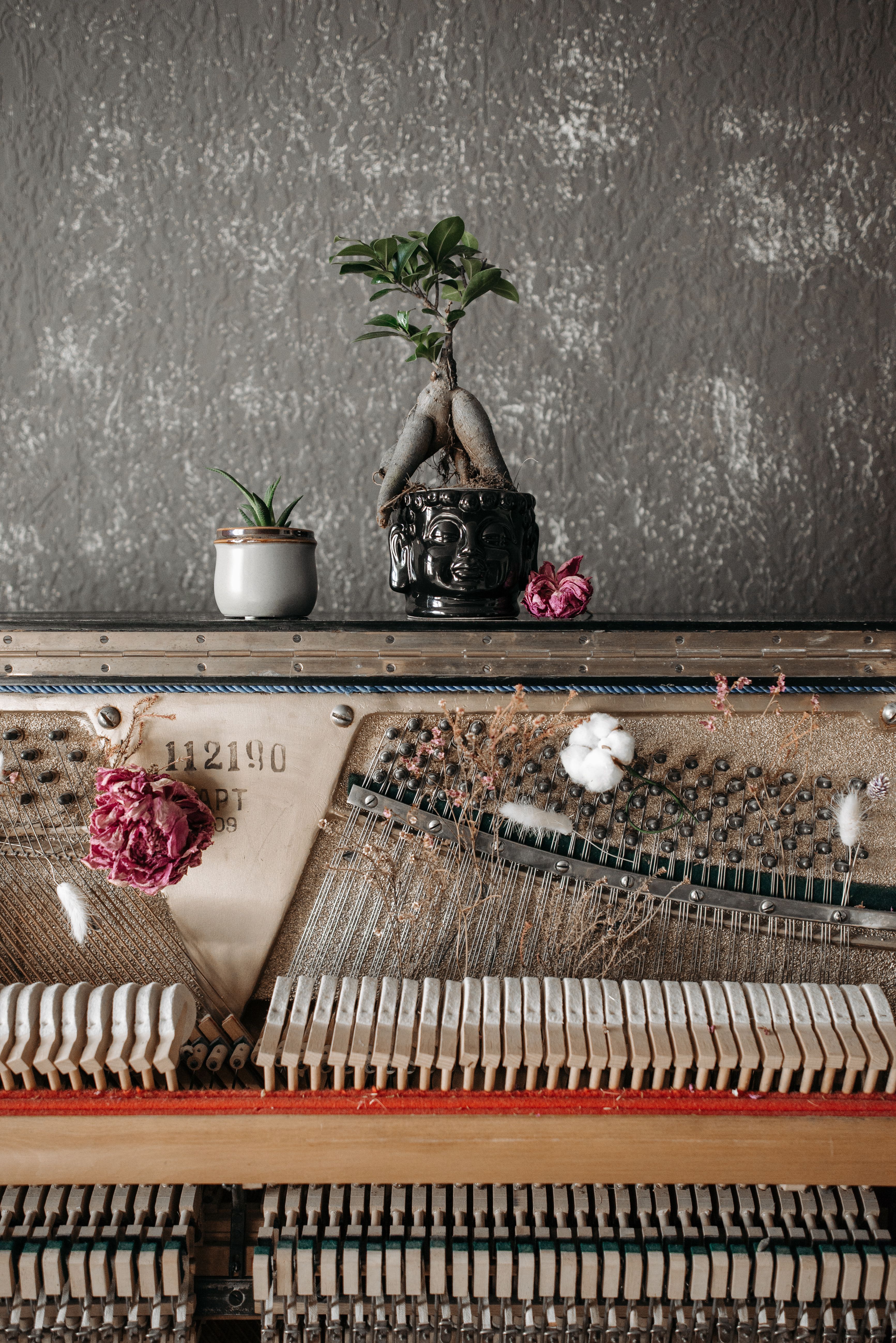 Green Plant on Wooden Upright Piano · Free Stock Photo