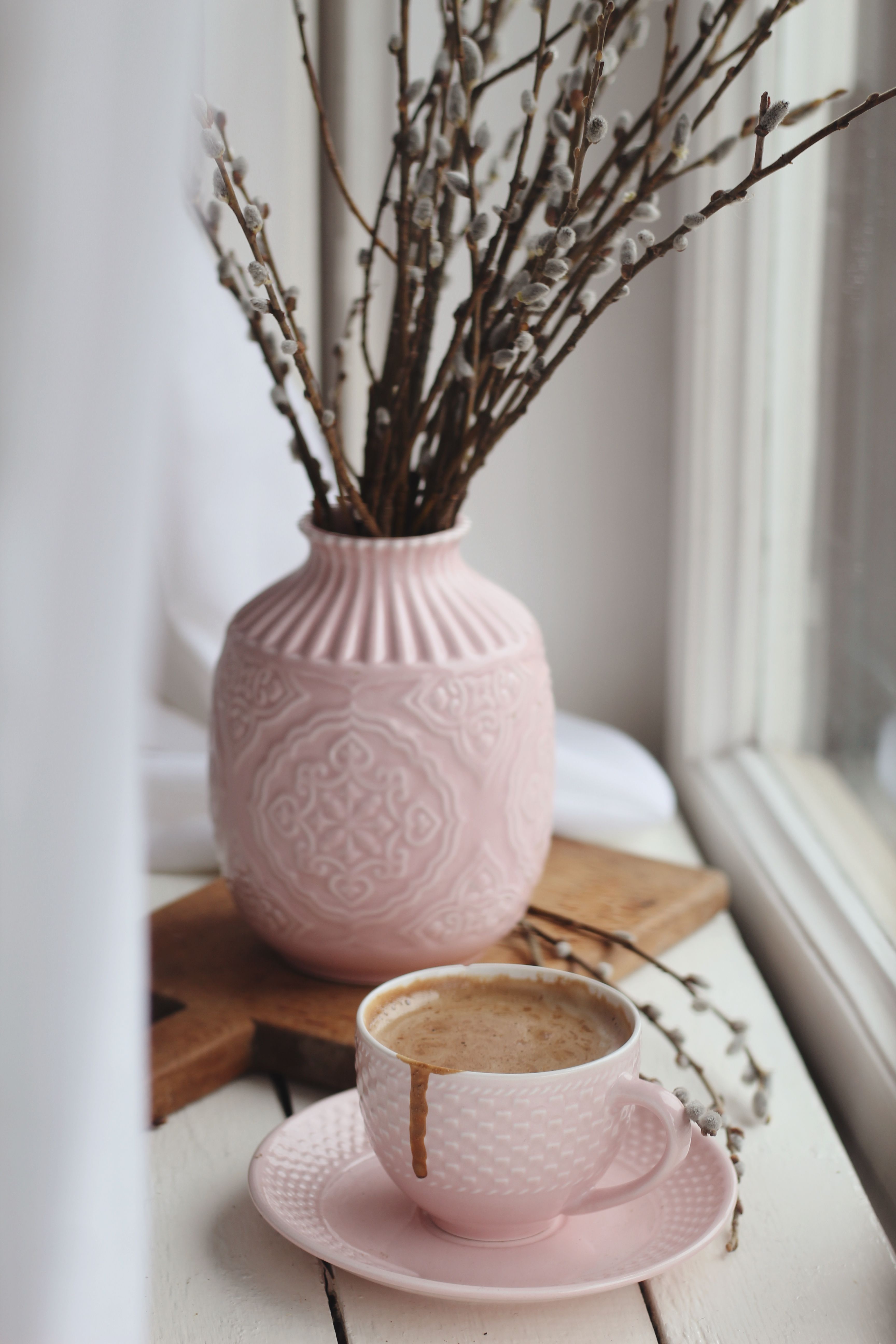 Stems of Salix discolor plant in elegant pink vase near cup of cacao ...
