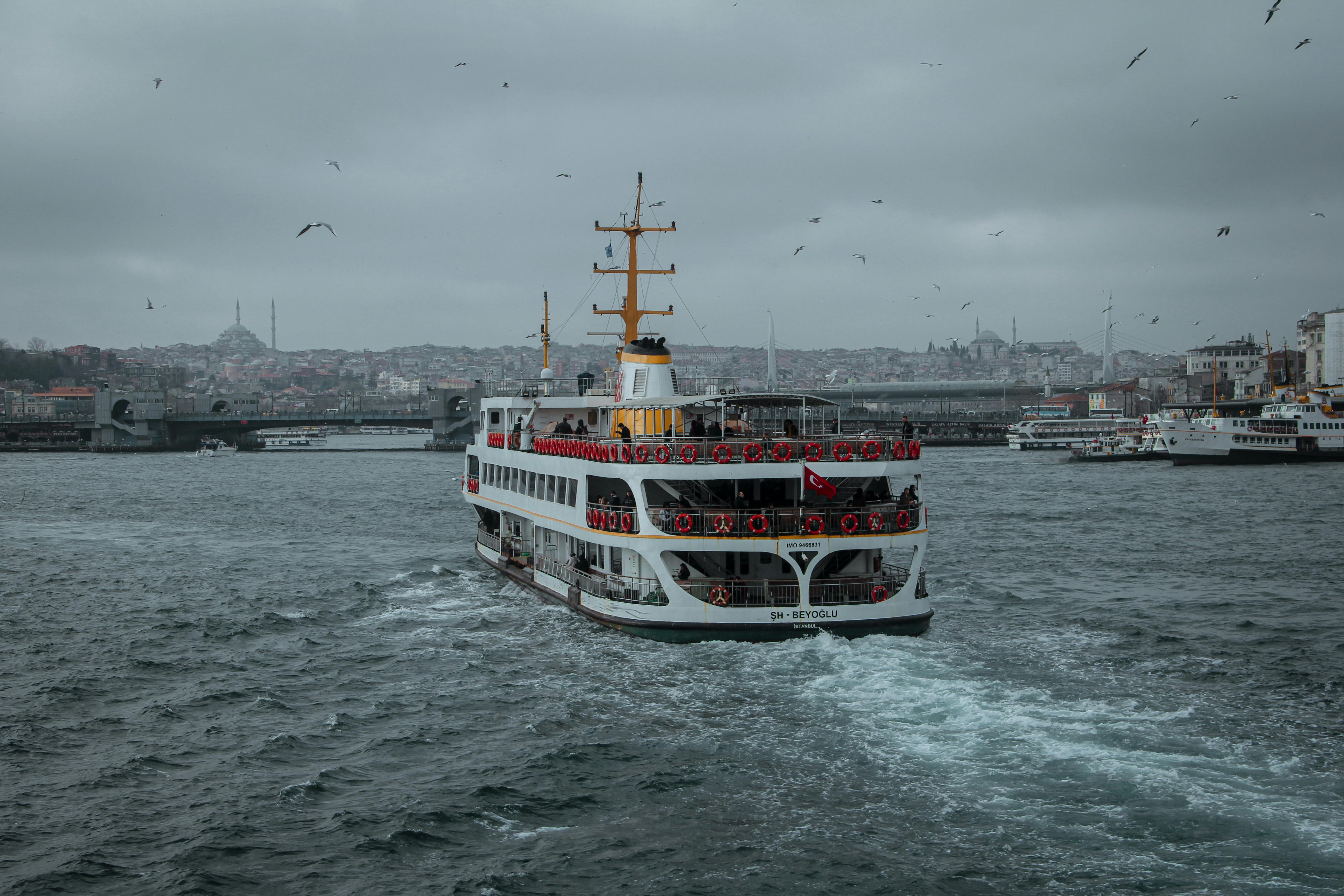 Cruise Ship on Sea · Free Stock Photo