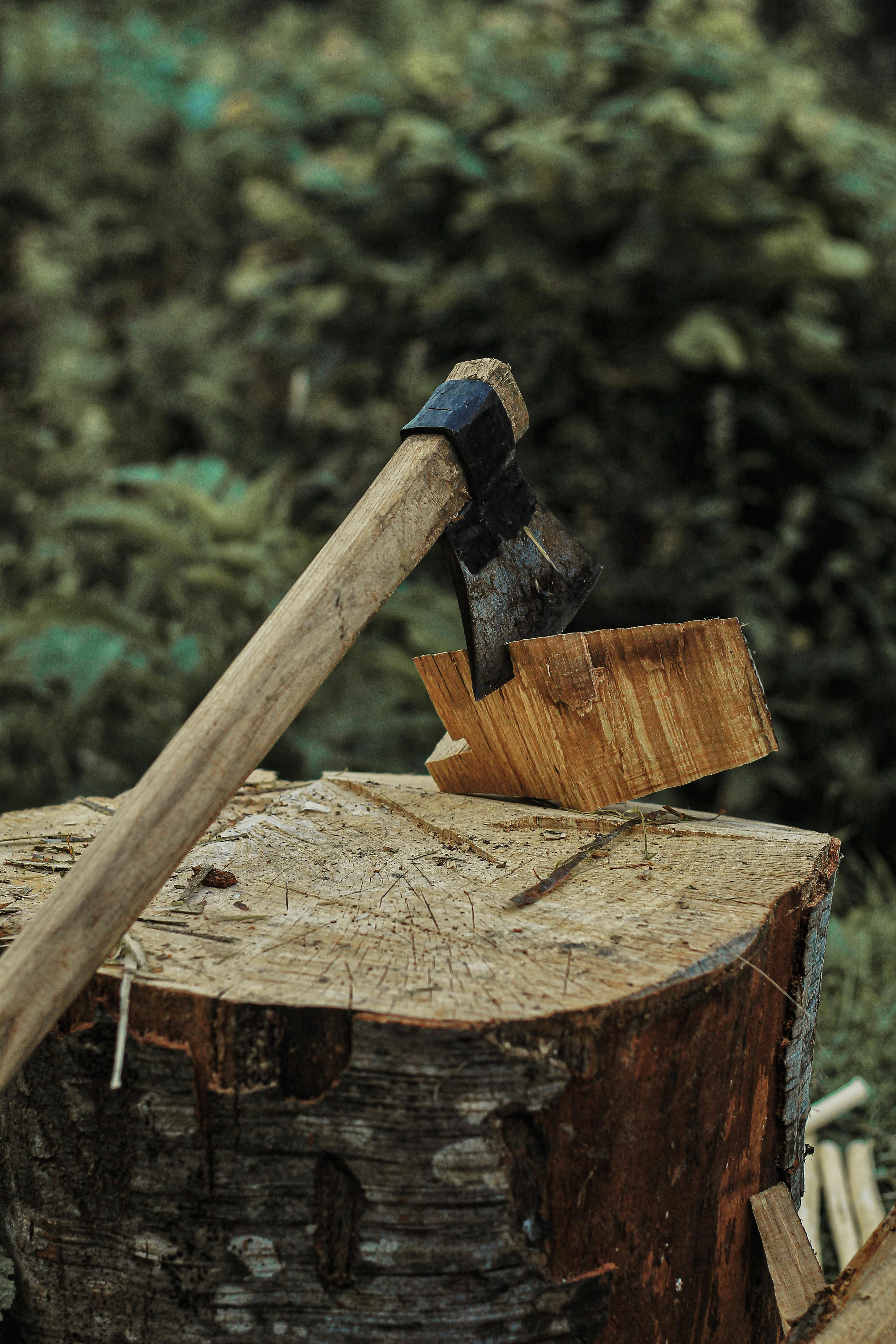 Pile of Firewood With Axe On A Tree Stump · Free Stock Photo