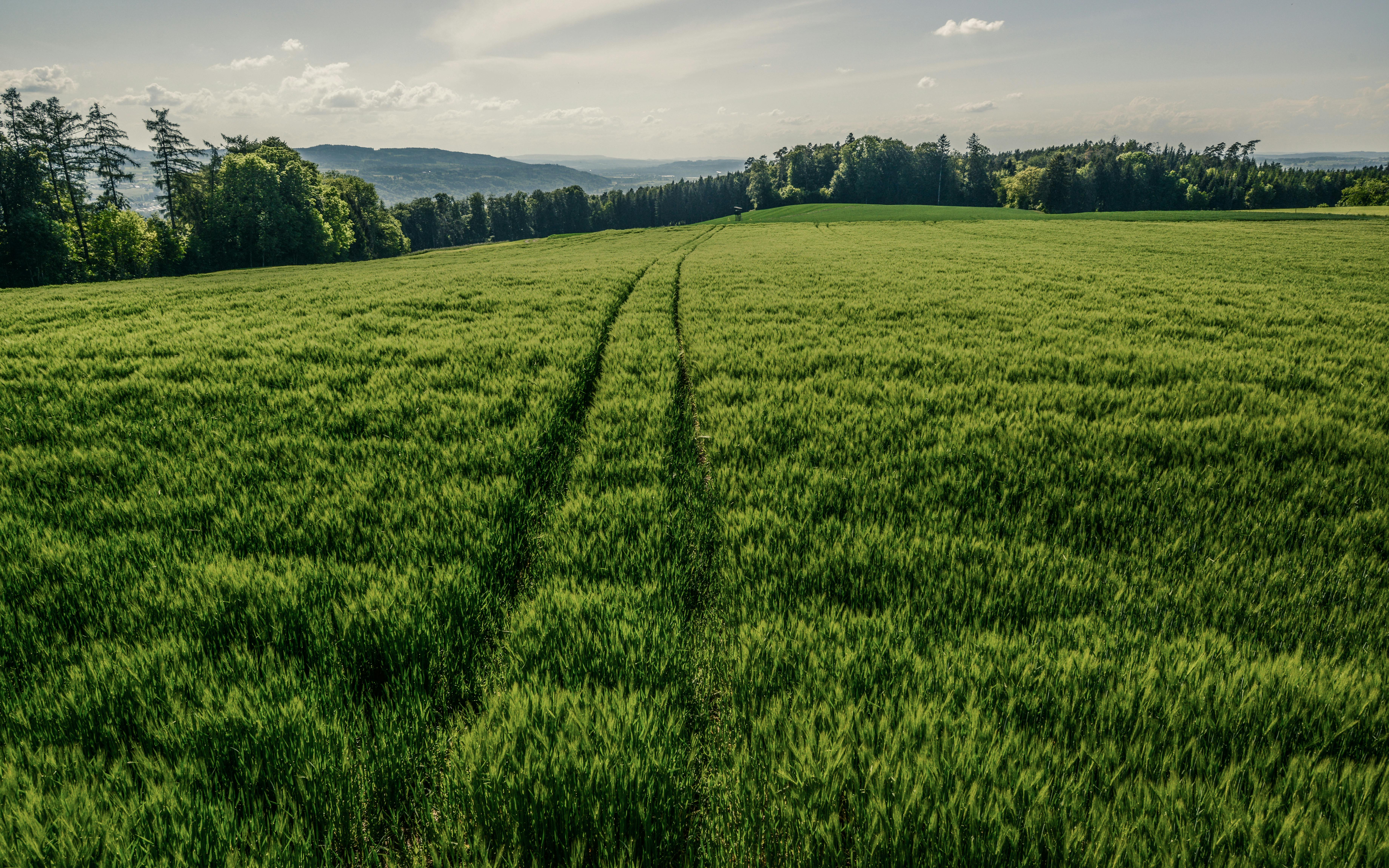 Sam Mueller - Photographie