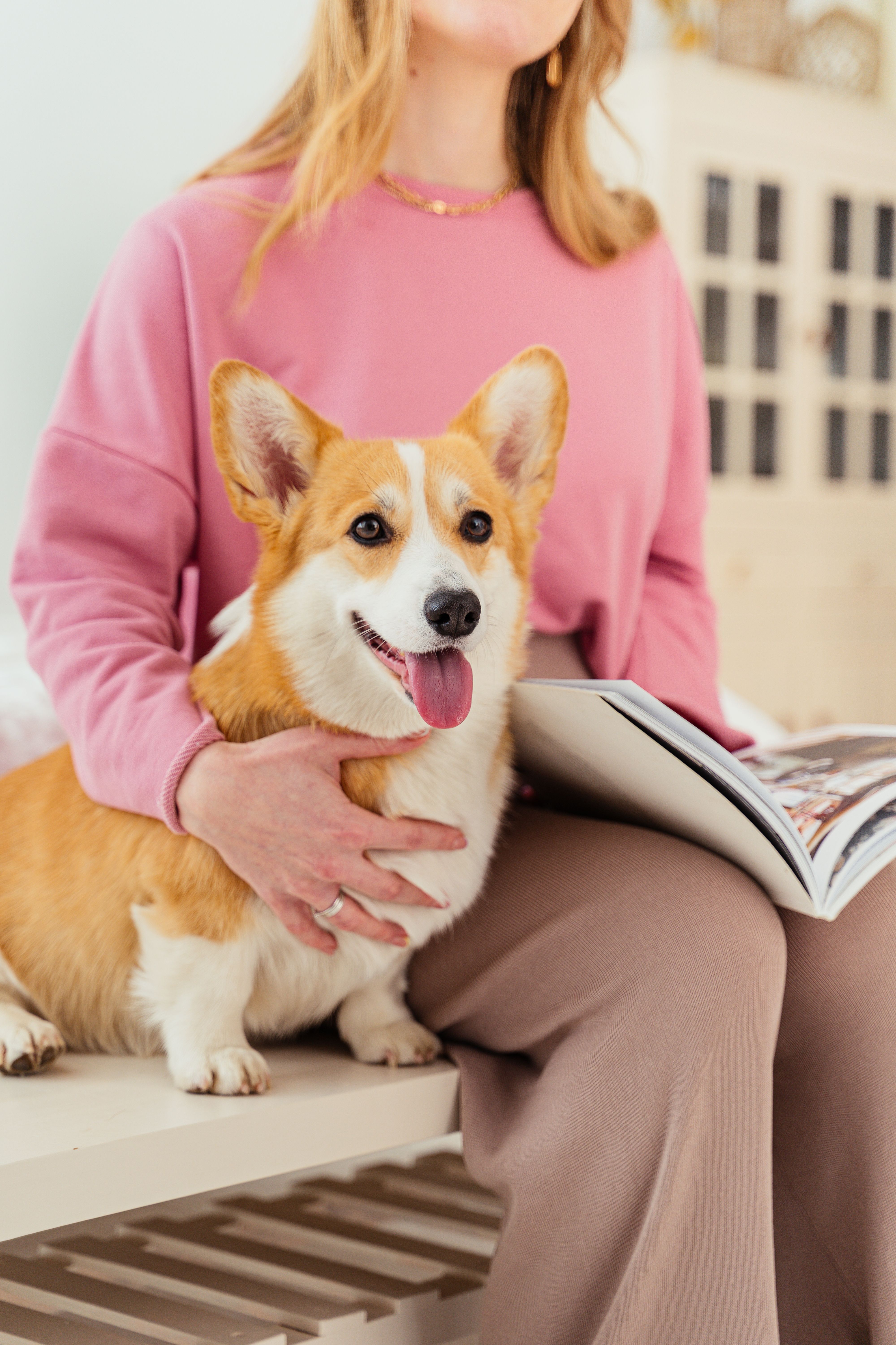 A Person Holding a Dog · Free Stock Photo