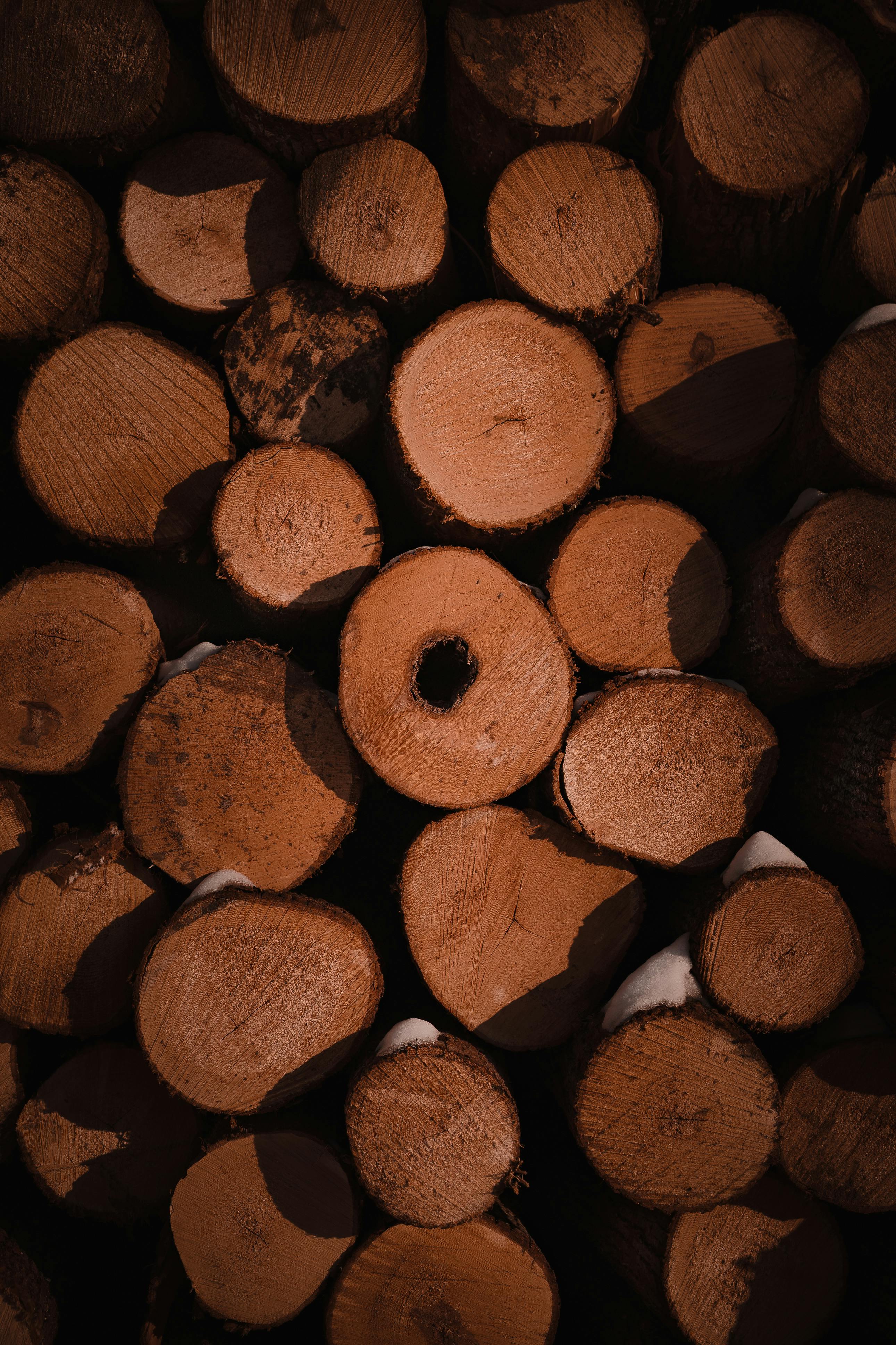 Marcus Murphy - Photography