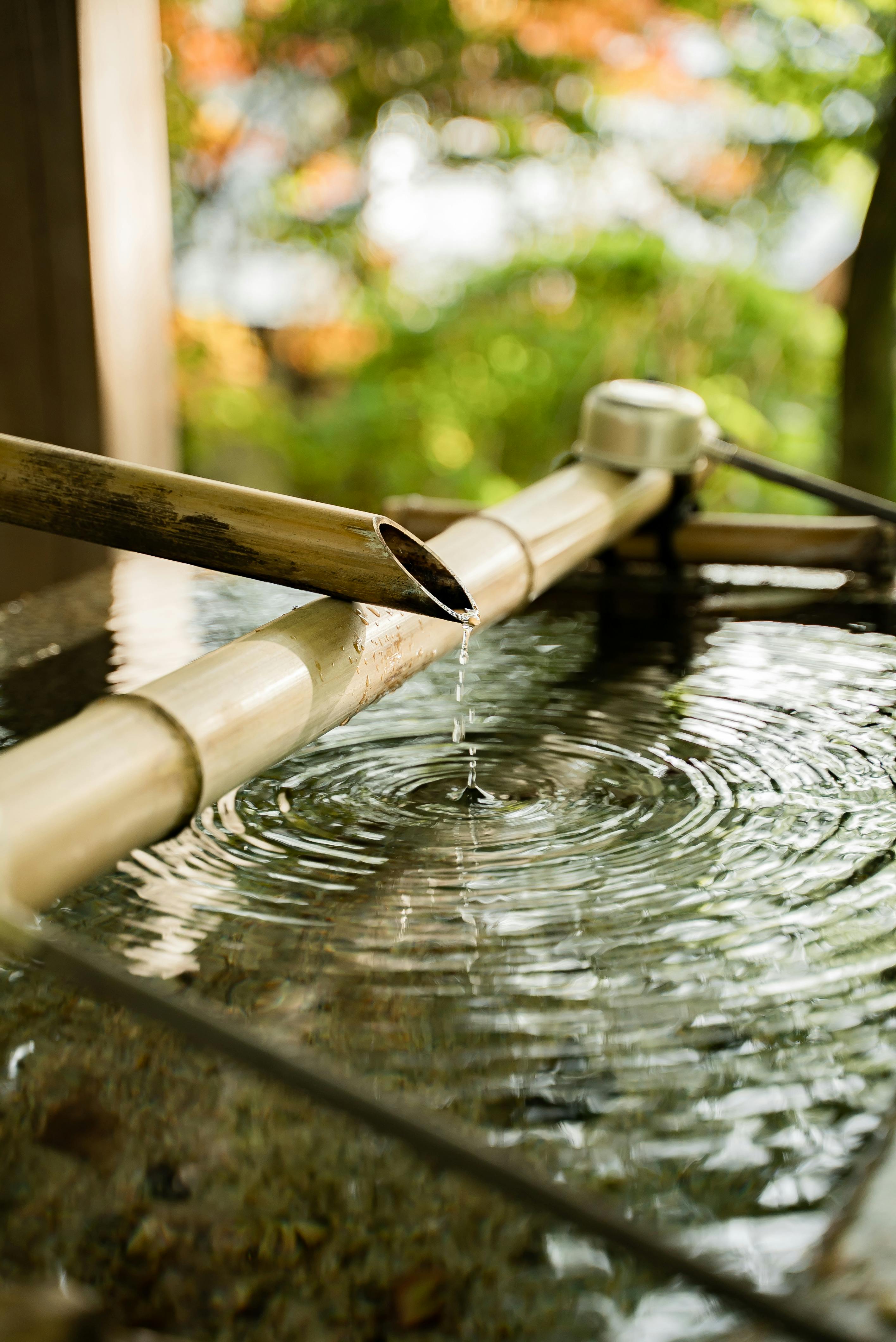 Water Dripping from Traditional Bamboo Fountain · Free Stock Photo
