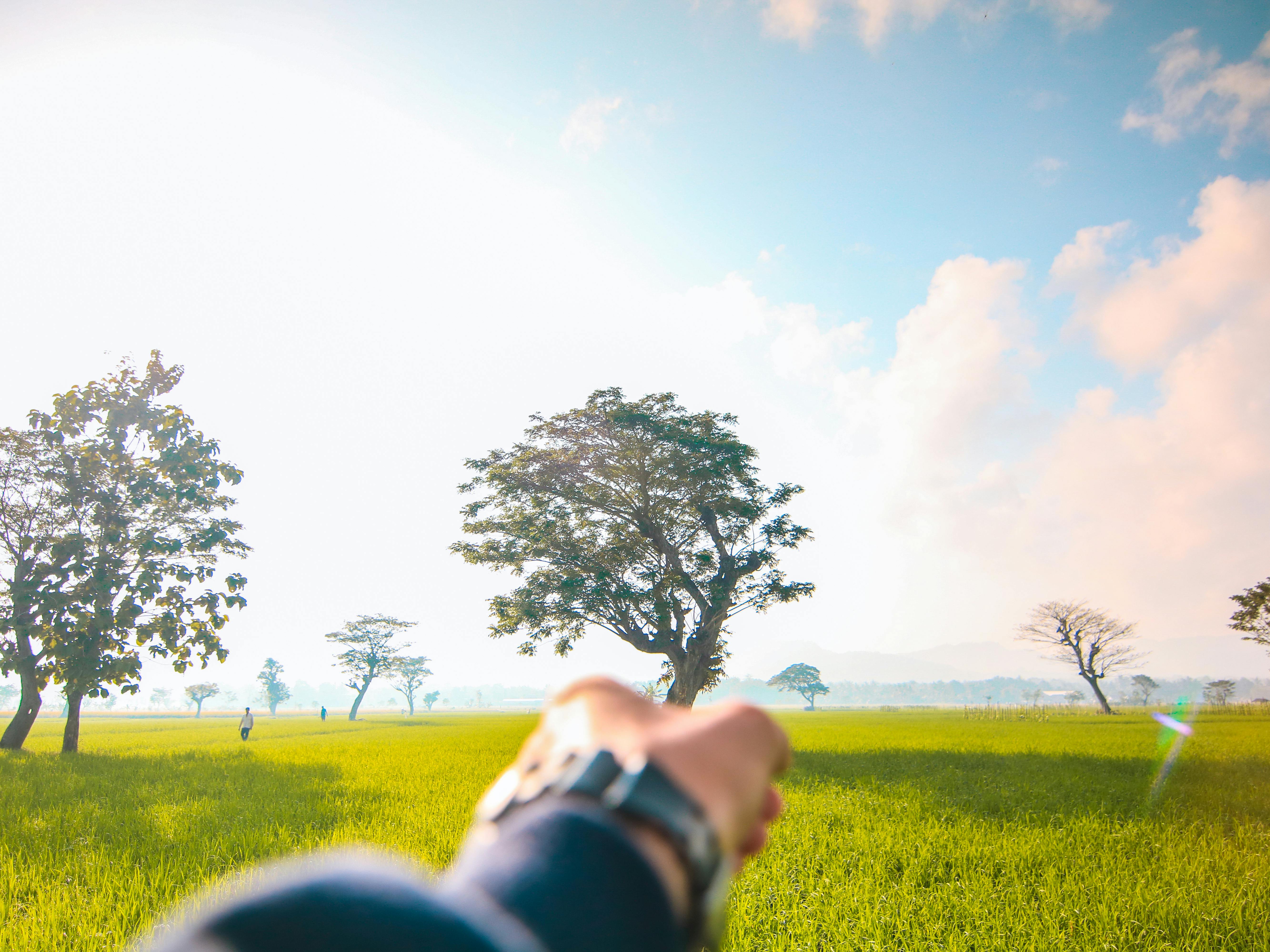 Free stock photo of adventure, awesomeness, beautiful