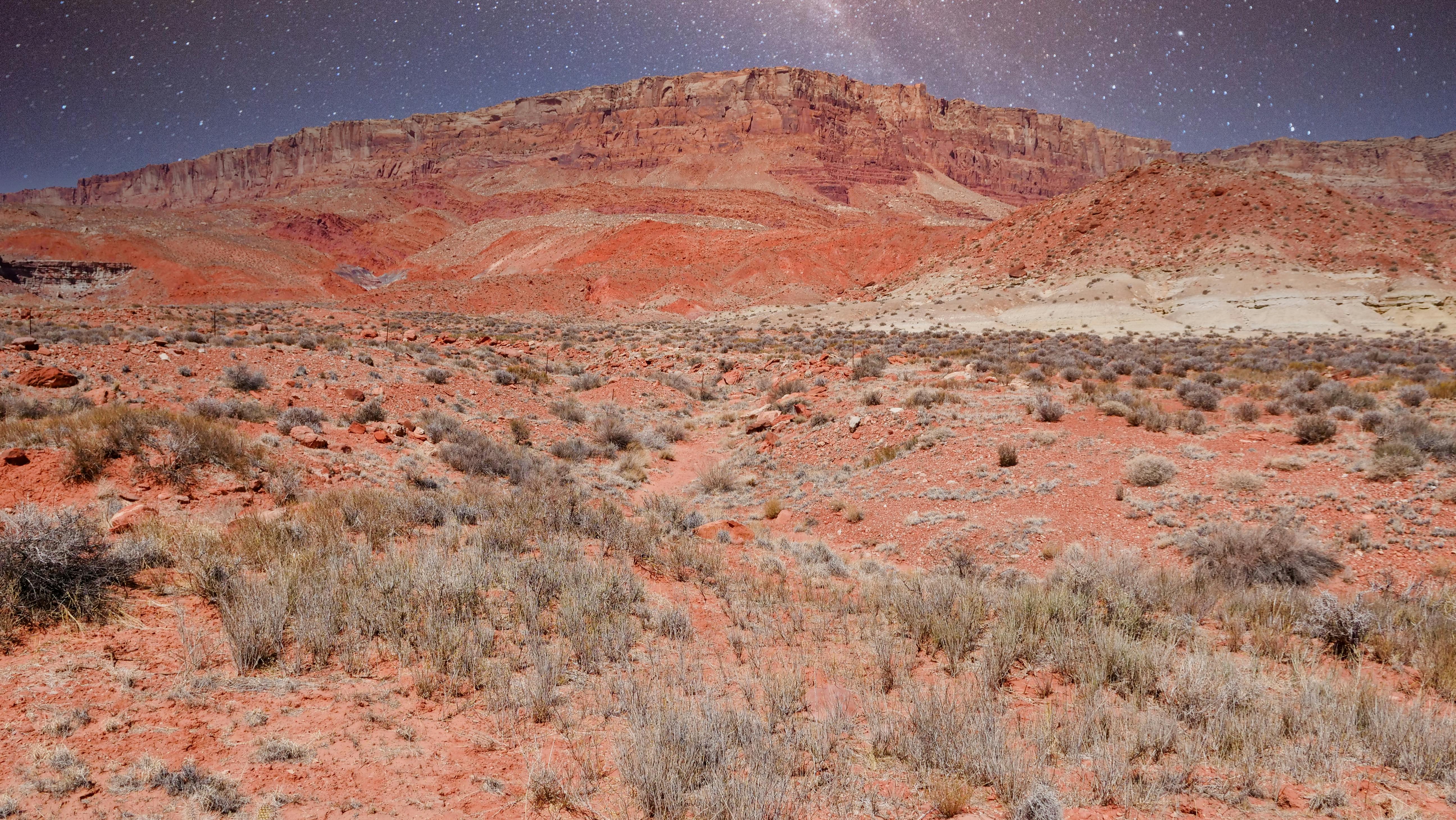 Grass On Mars Photos, Download The BEST Free Grass On Mars Stock Photos & HD Images