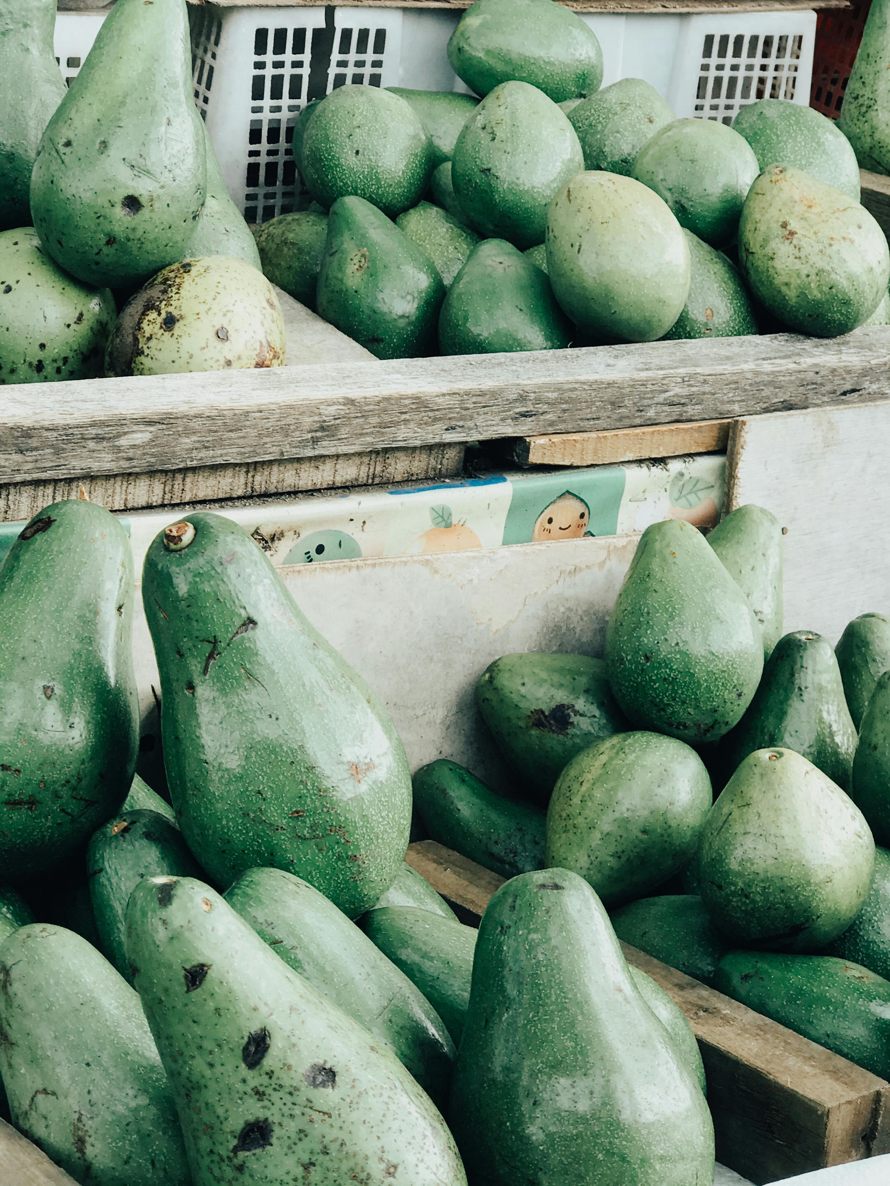 Close-Up Photo of a Hanging Avocado · Free Stock Photo
