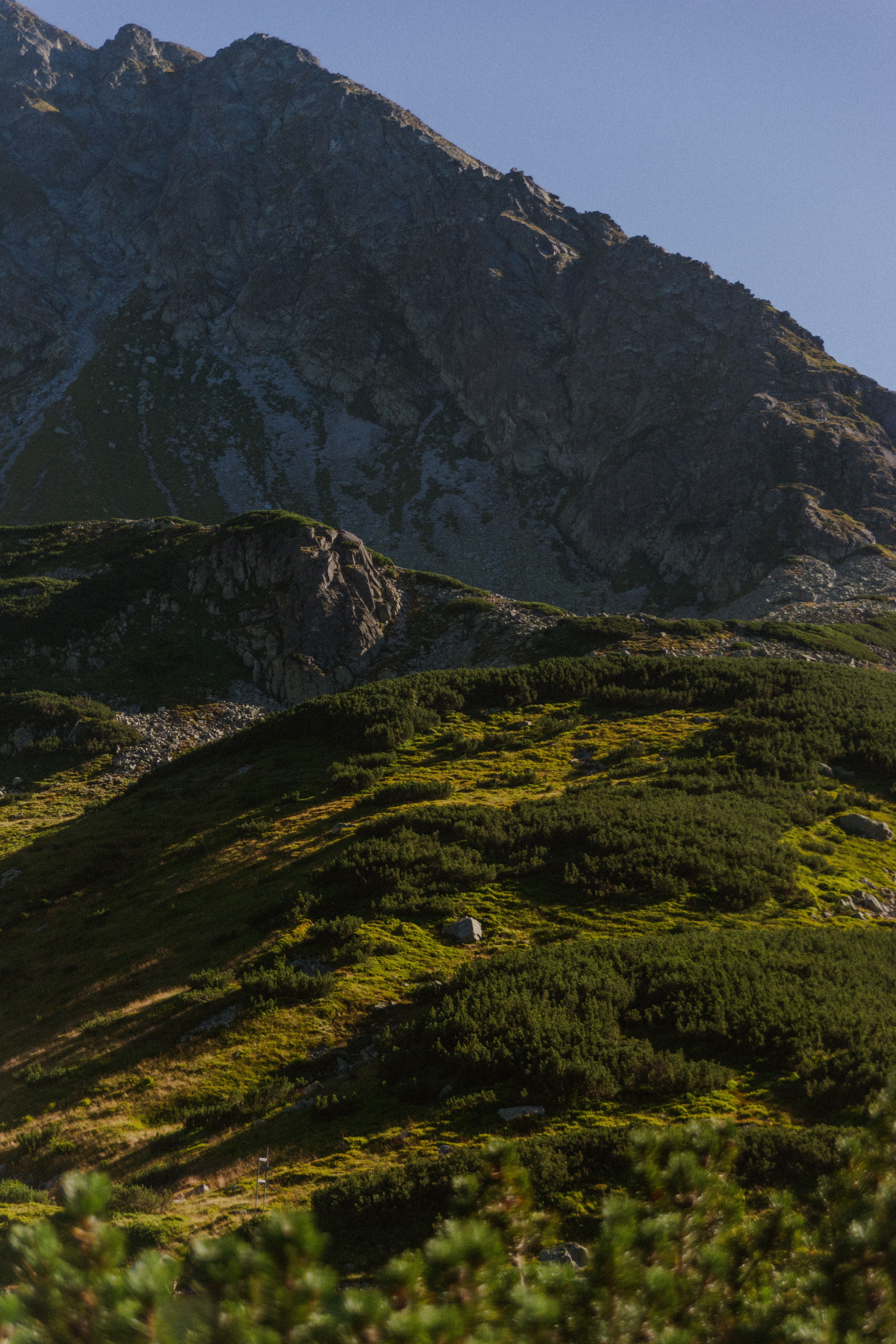 Low-Angle Shot of Mountains · Free Stock Photo