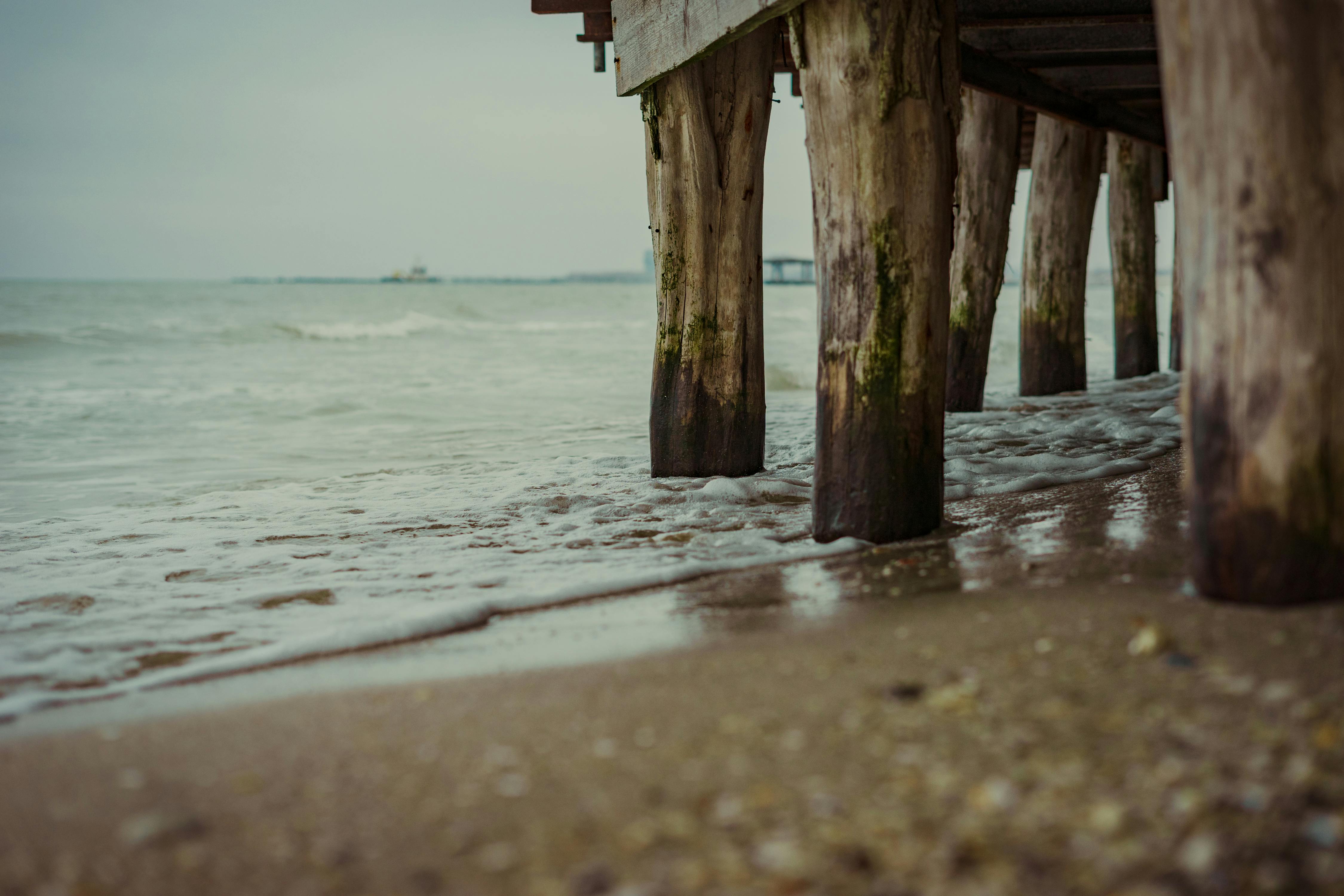 Brown Wooden Posts of a Dock on Sea · Free Stock Photo