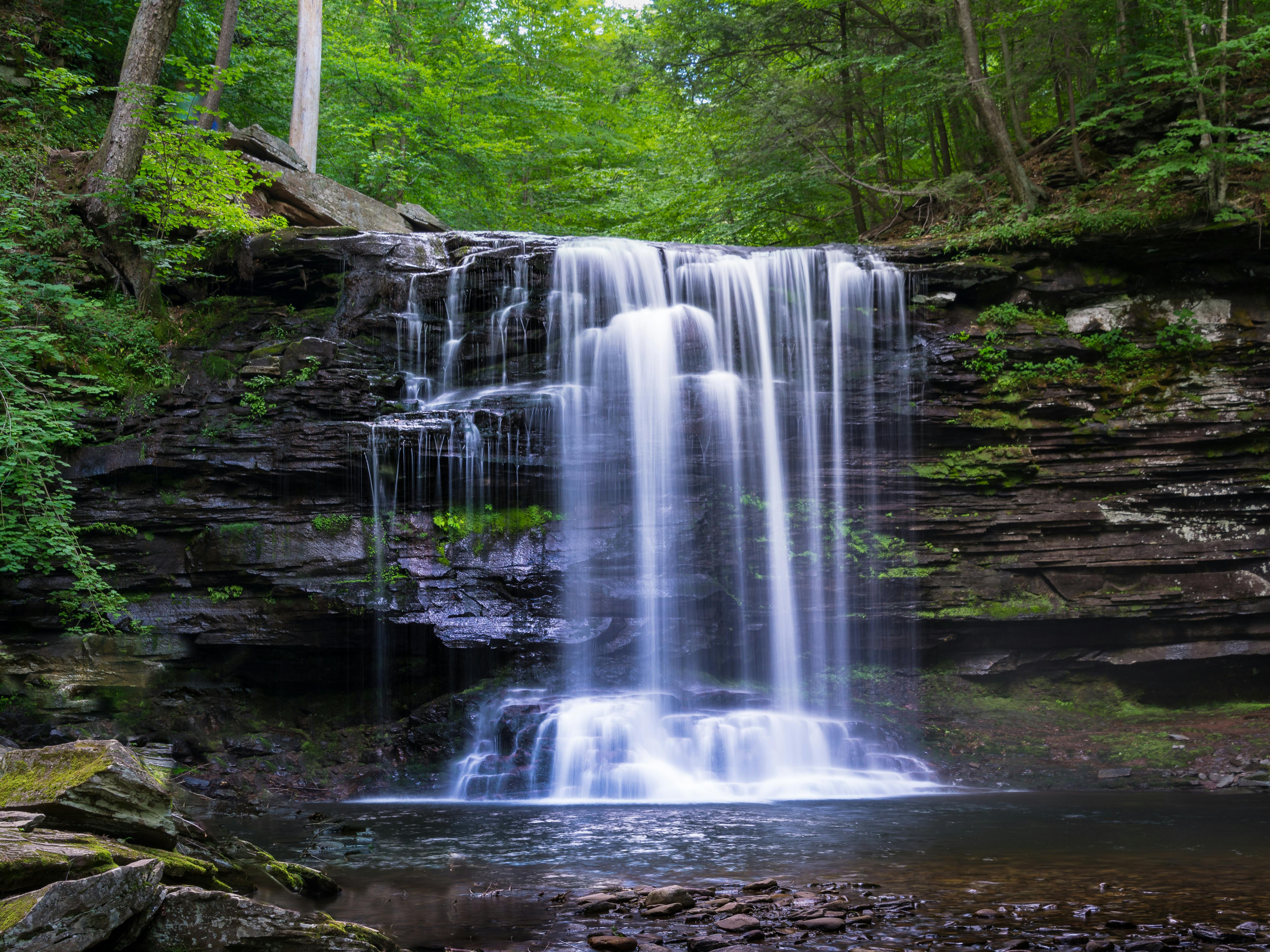 A Waterfall in a Forest · Free Stock Photo
