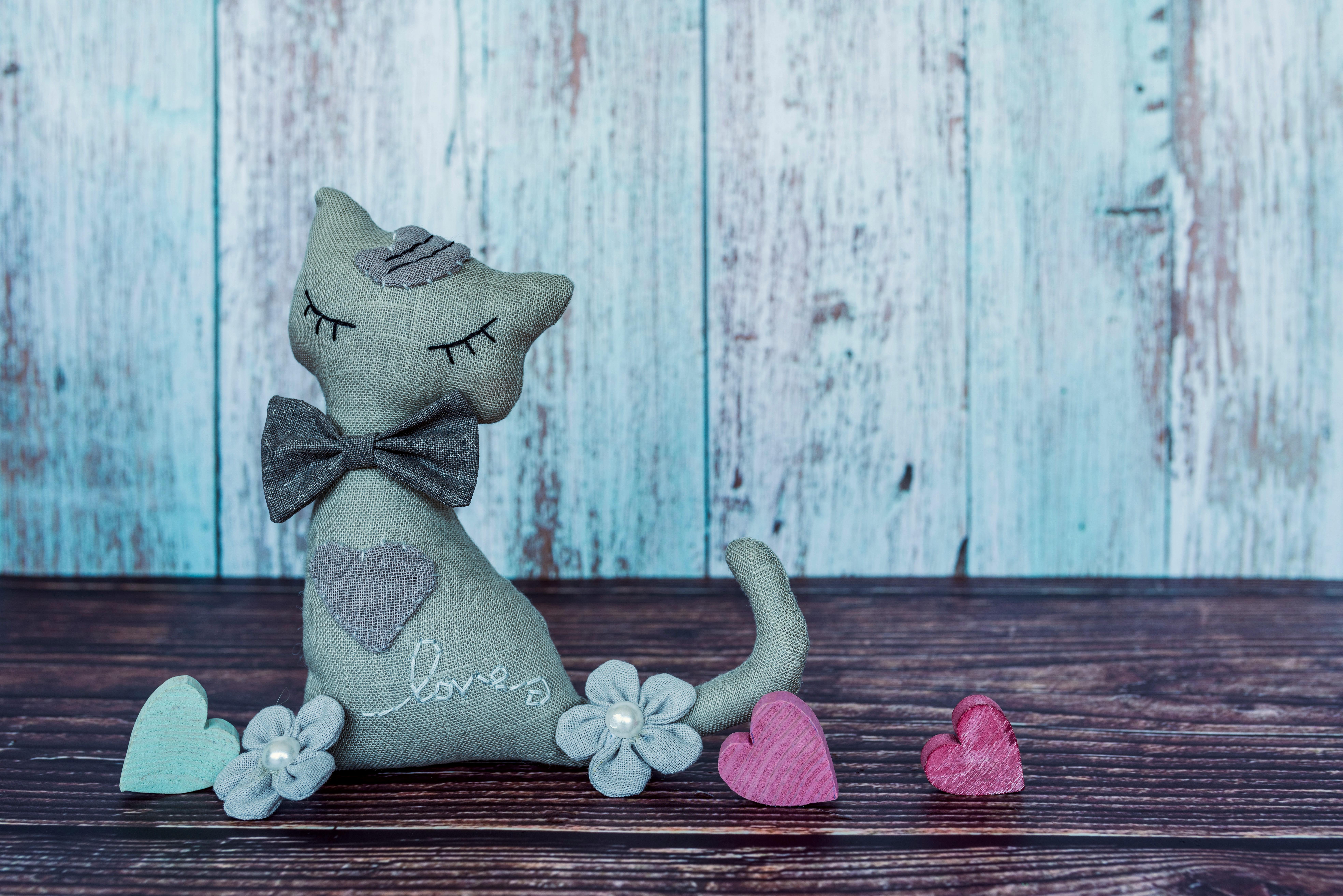 Cat Zoom Background Photos, Download The BEST Free Cat Zoom Background ...