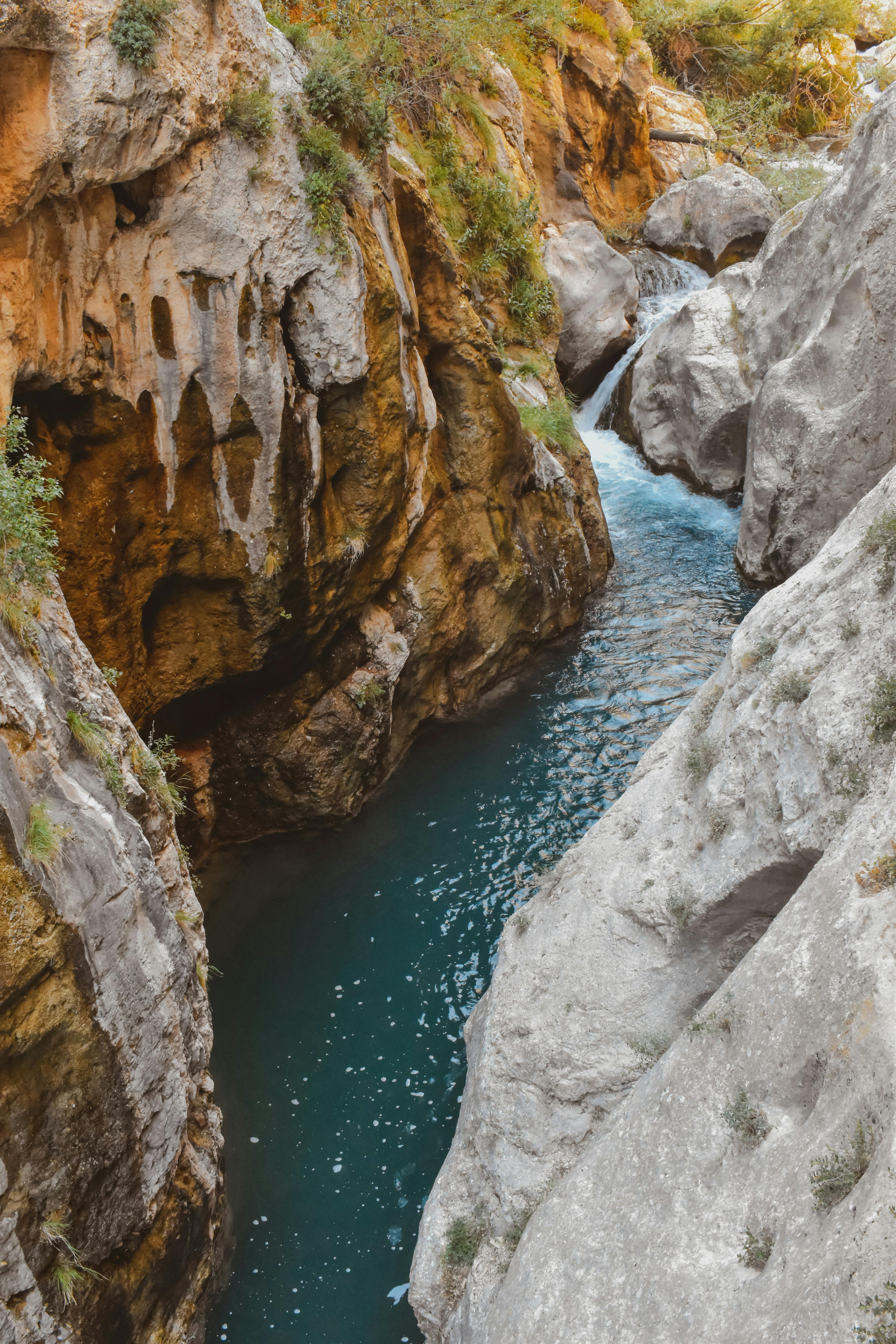 River in Canyon · Free Stock Photo
