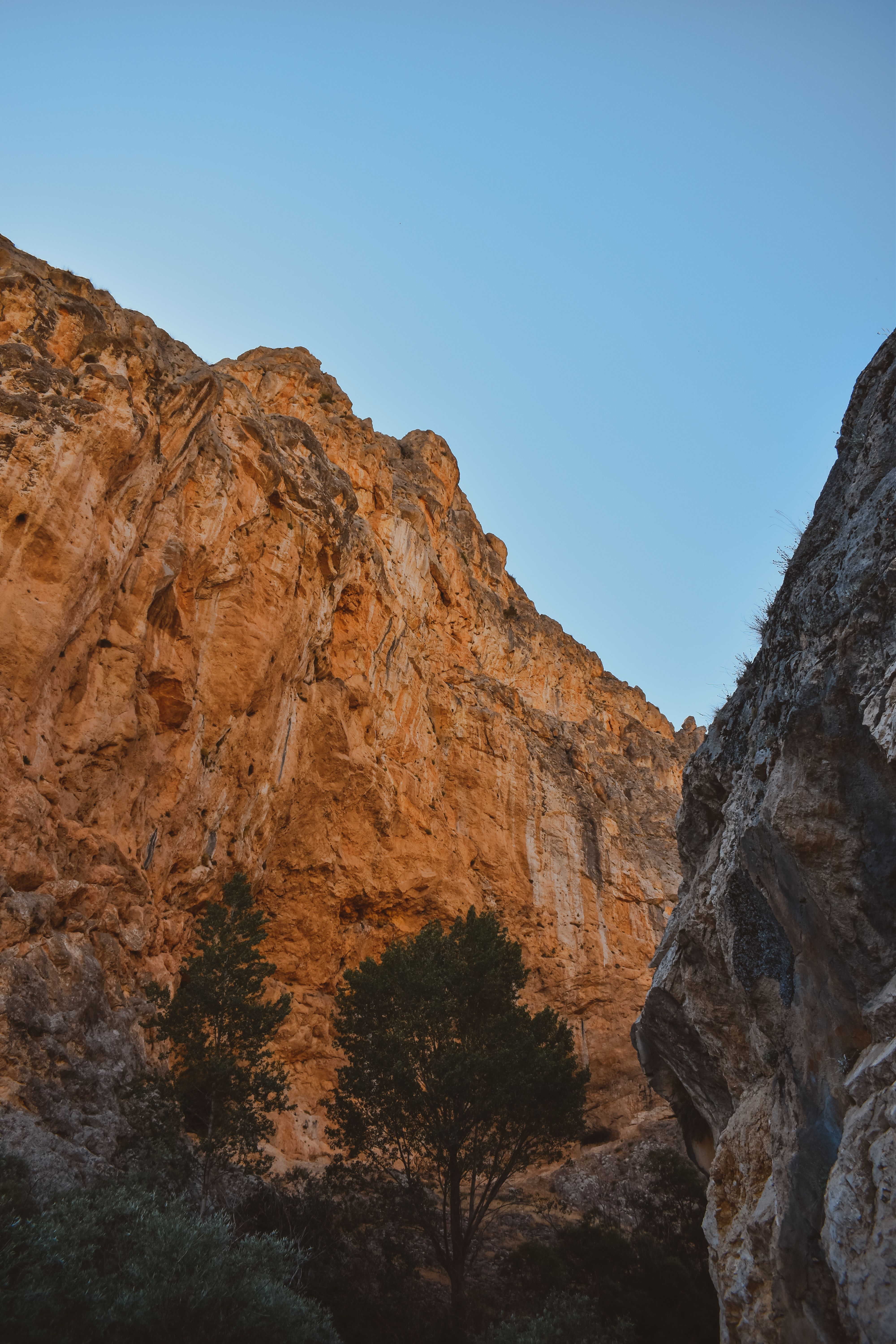 Valley among Rocks · Free Stock Photo