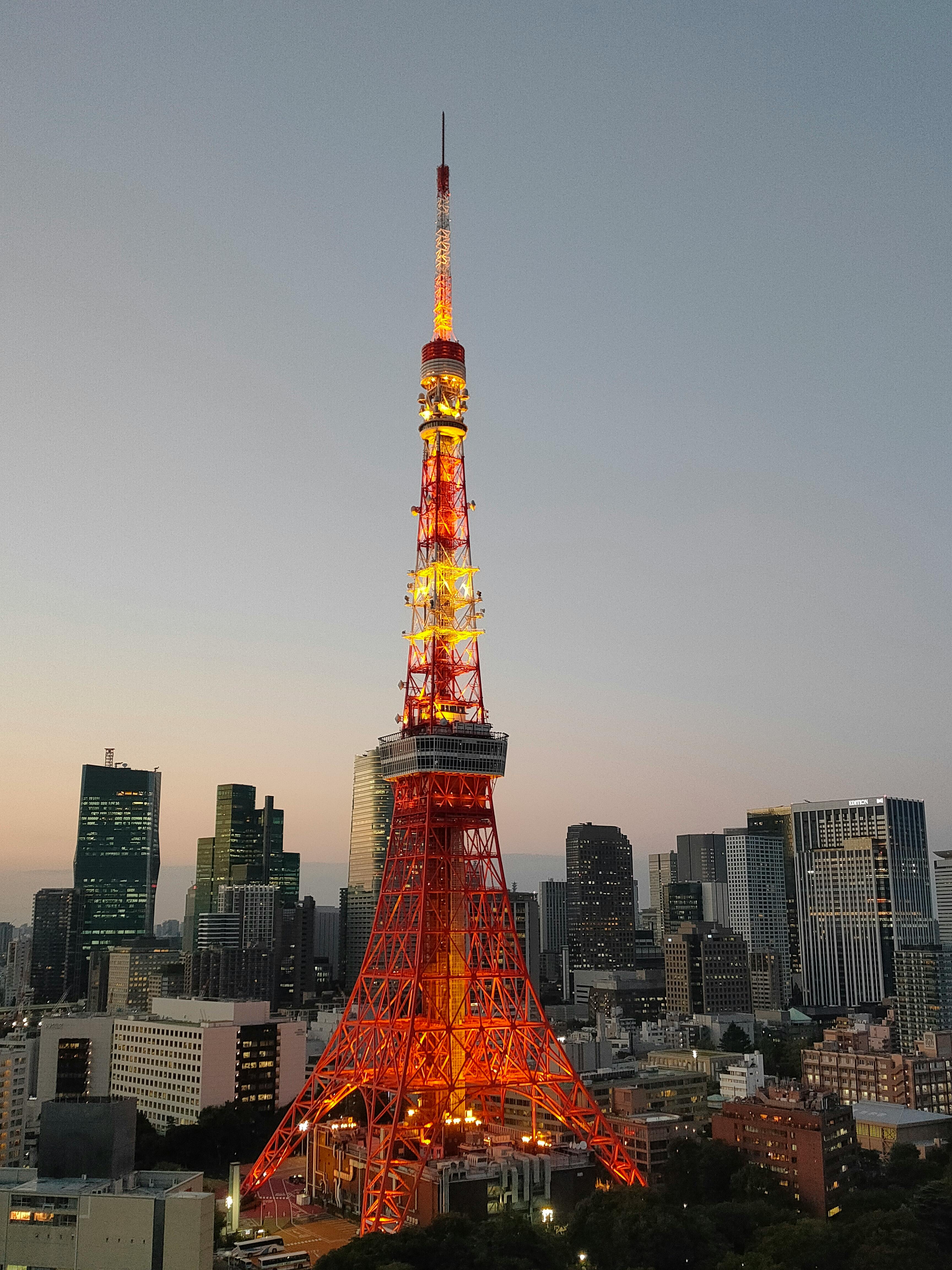 The Tokyo Tower · Free Stock Photo