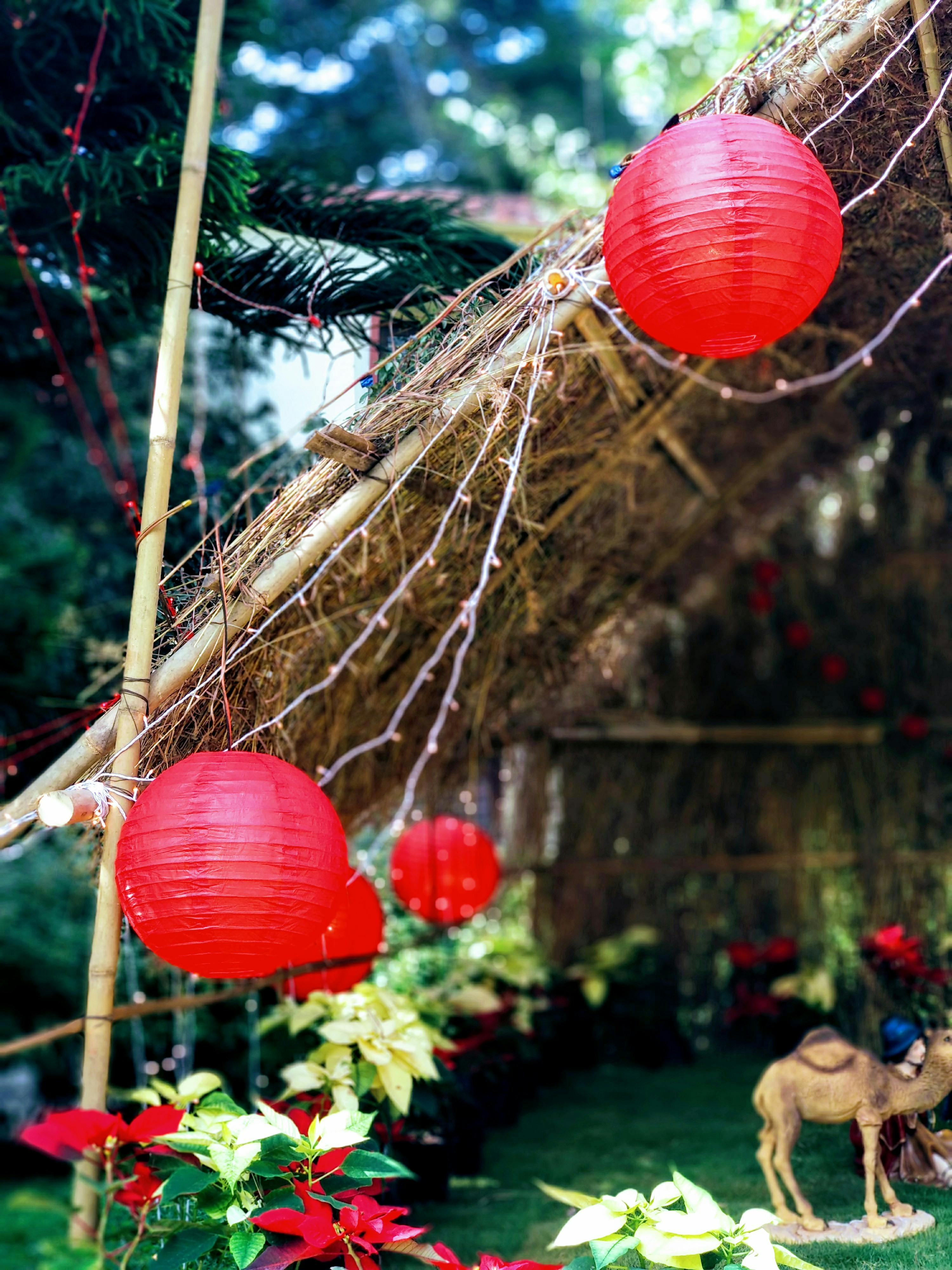 Two Red Ball Lanterns · Free Stock Photo