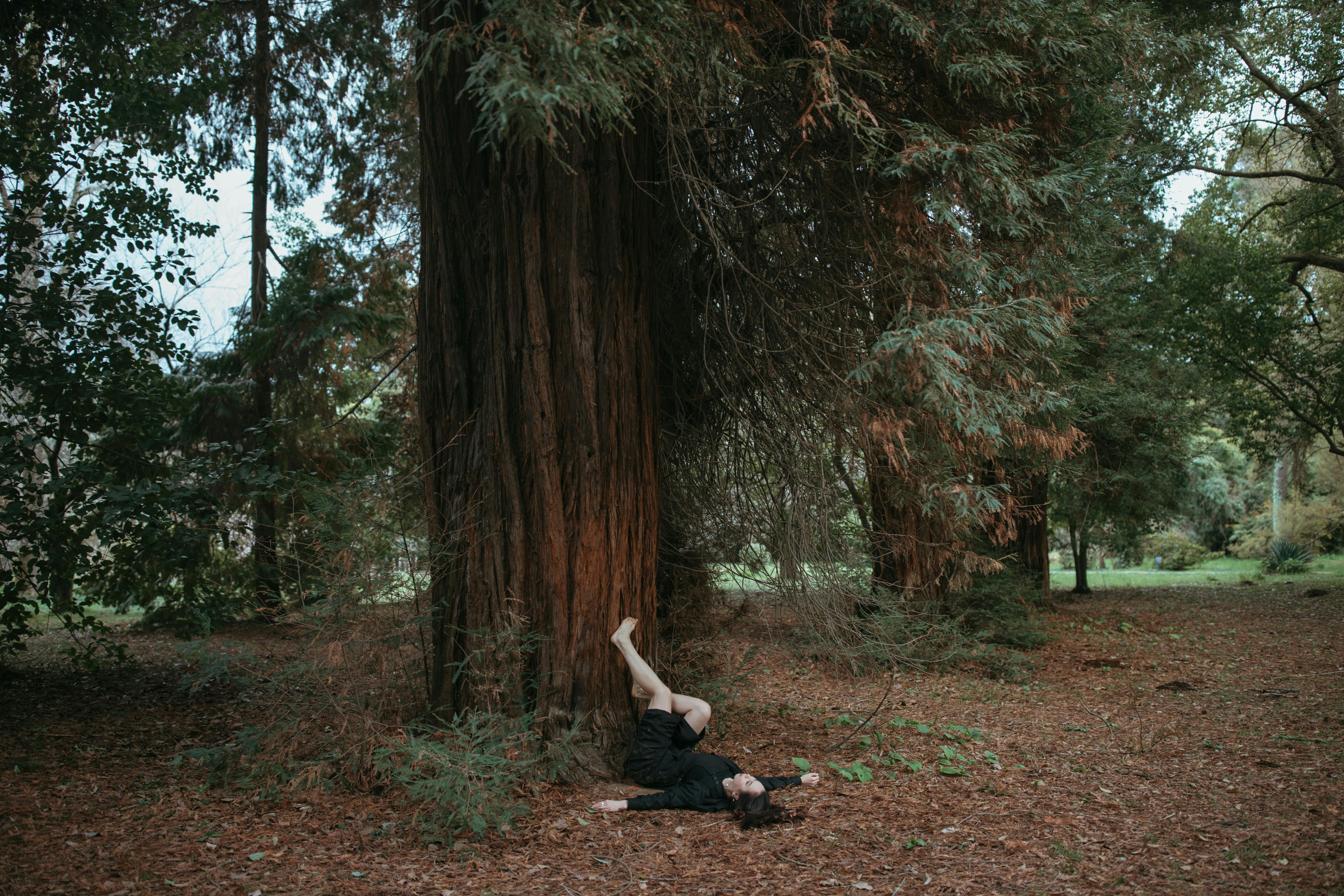 Woman in Black Dress Lying Under the Tree · Free Stock Photo