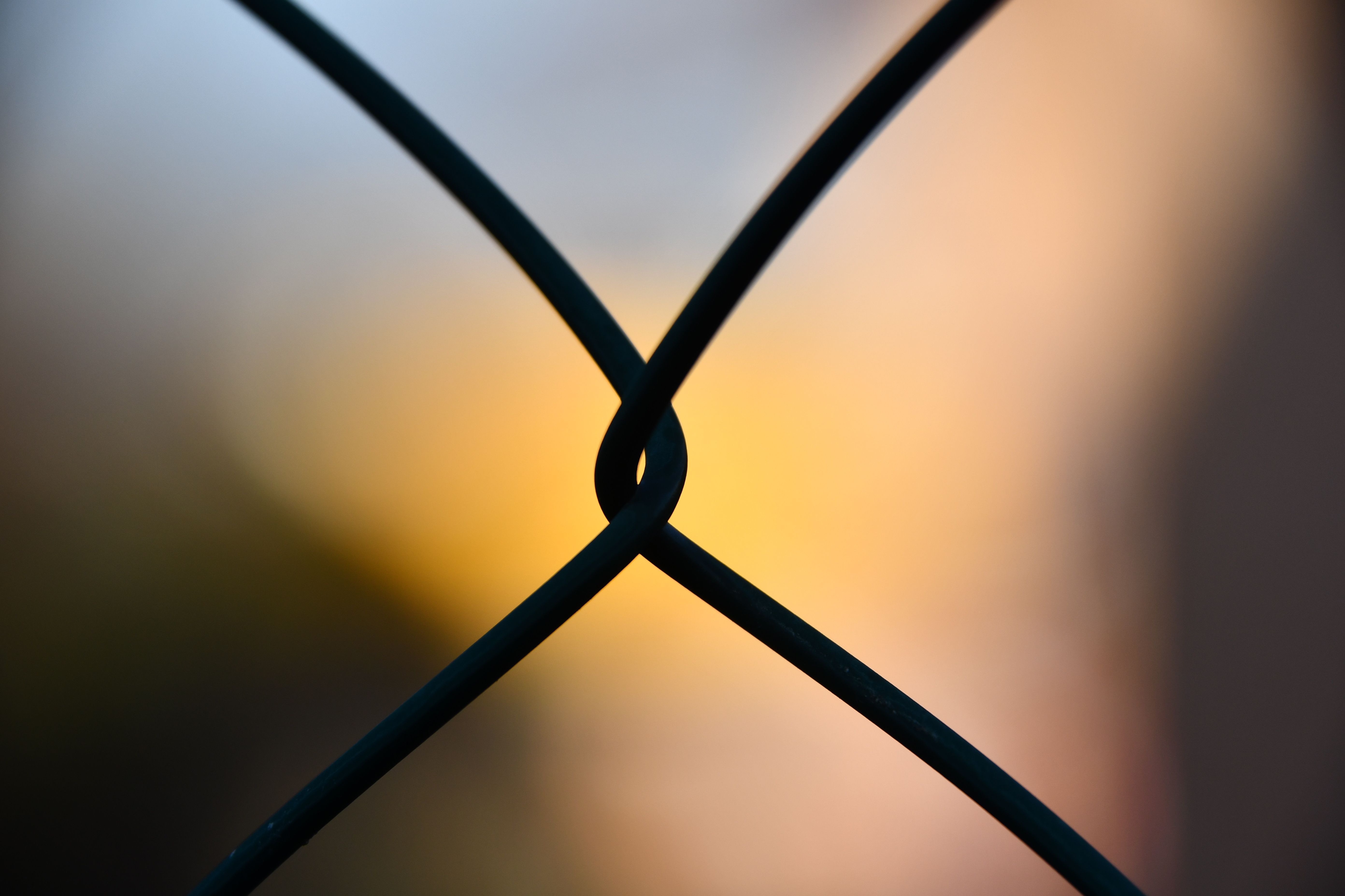 Shallow Focus Photography of Silhouette of Cyclone Wire · Free Stock Photo