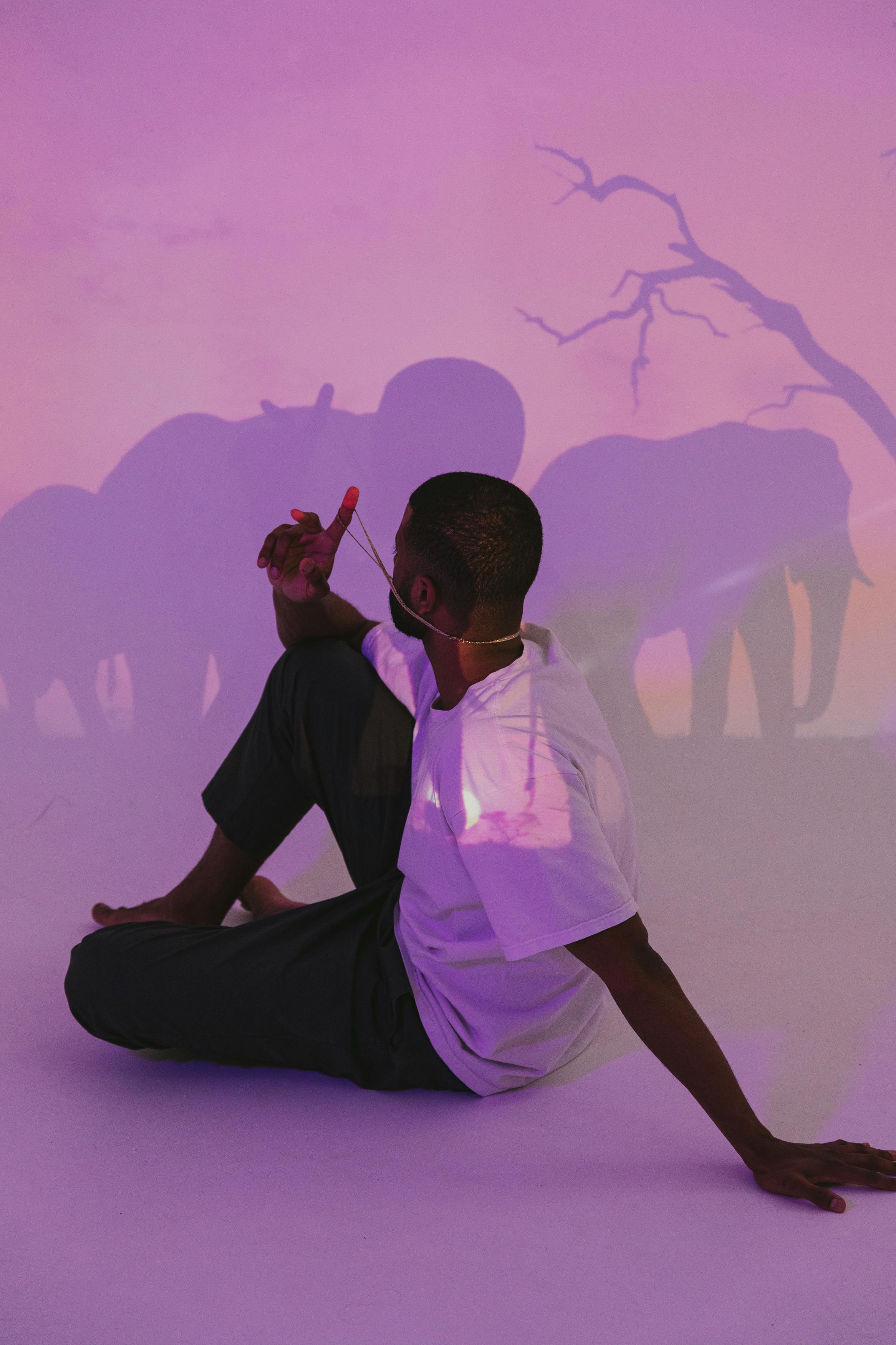 Elephant Shadow Photos, Download The BEST Free Elephant Shadow Stock ...