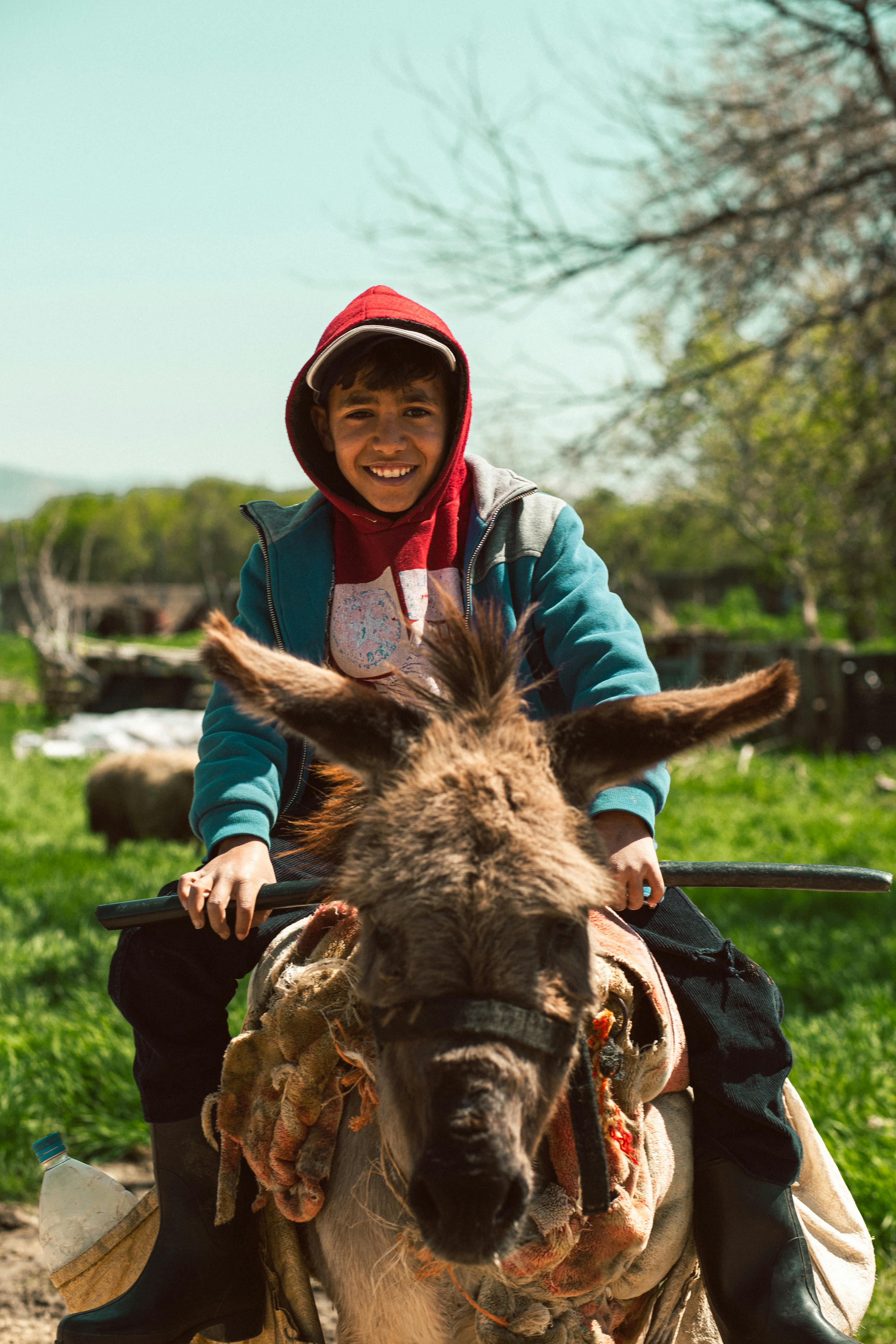 Smiling boy riding donkey in village · Free Stock Photo