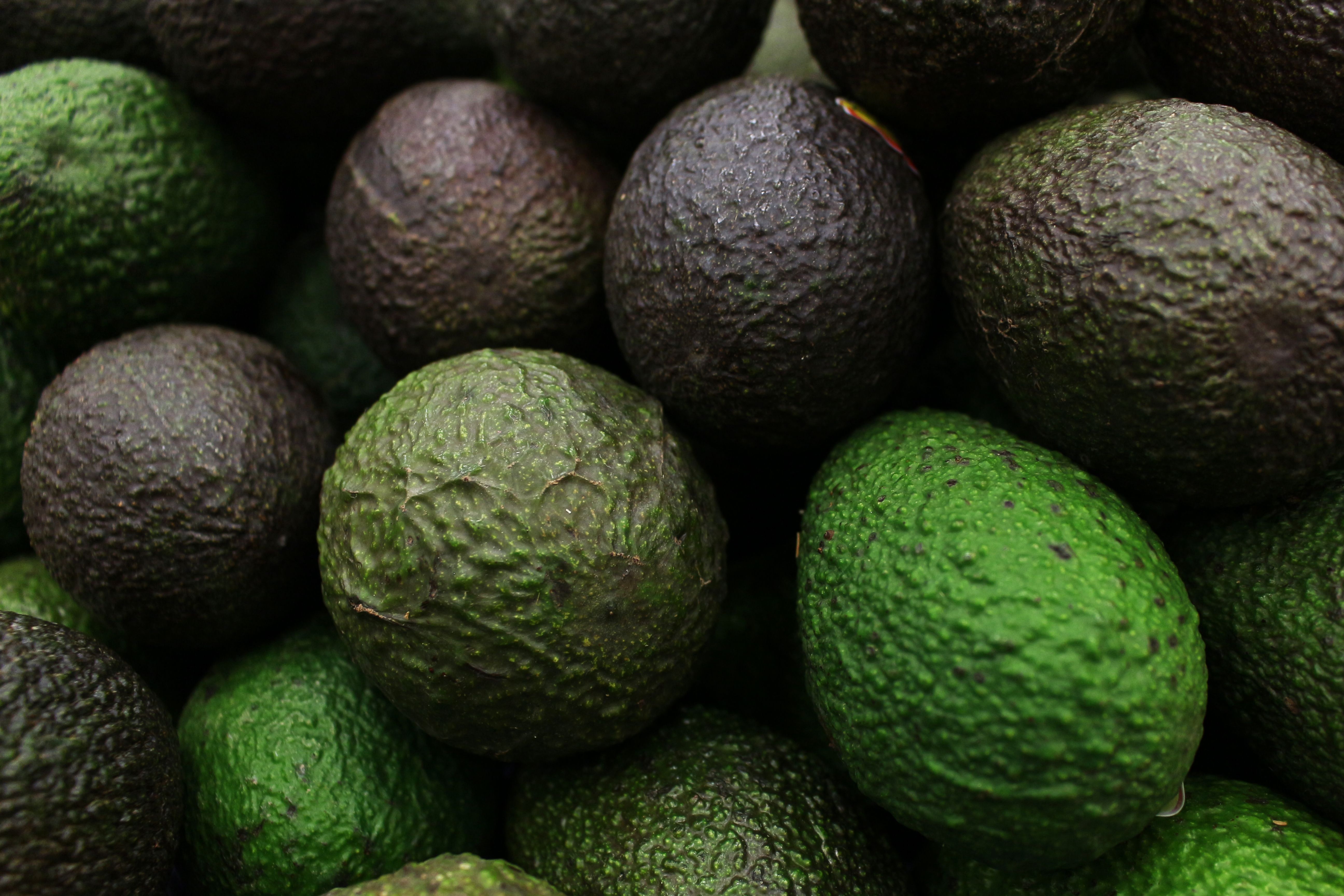 Pile Of Avocado Fruits · Free Stock Photo
