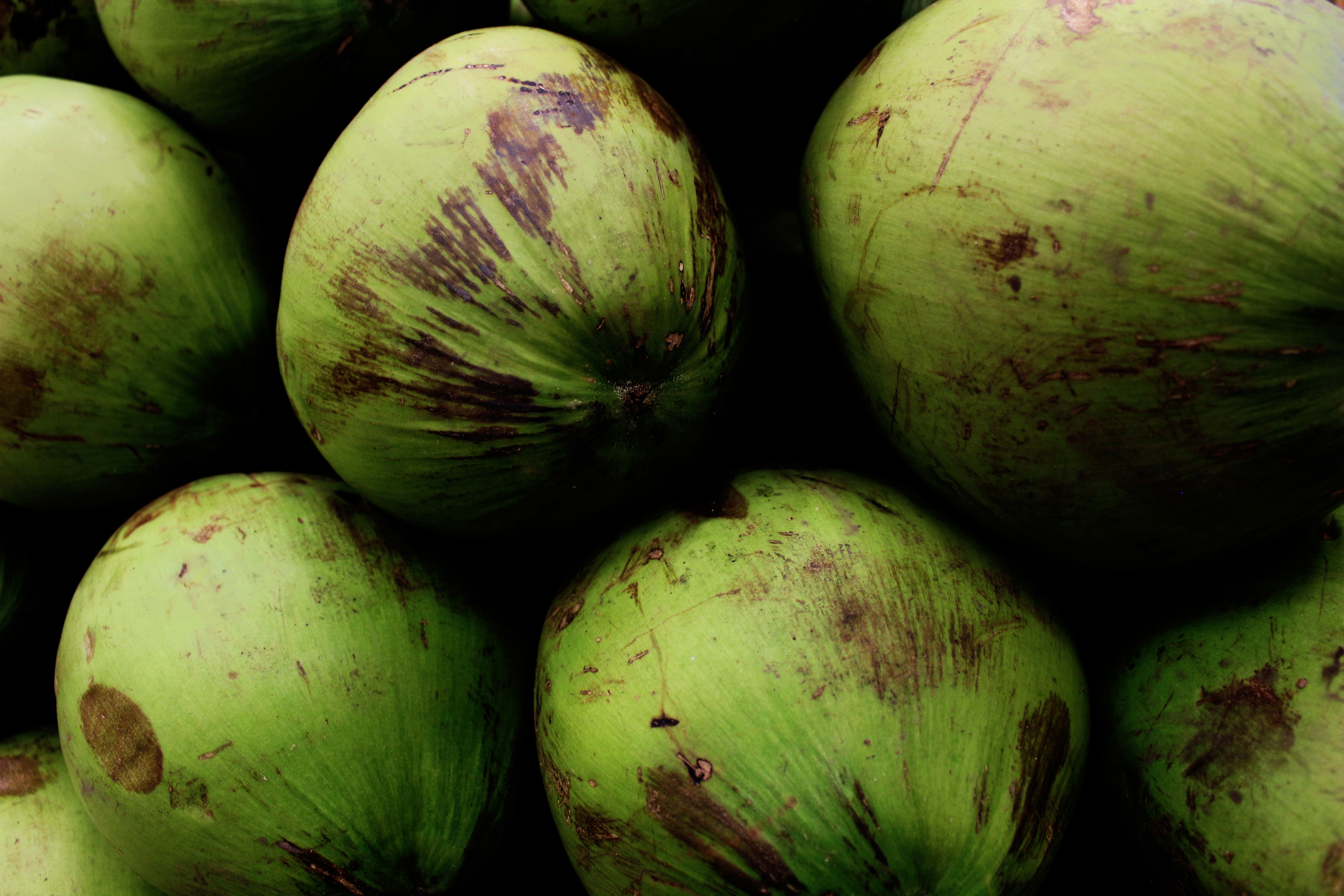 Close-up Photo of Coconuts · Free Stock Photo