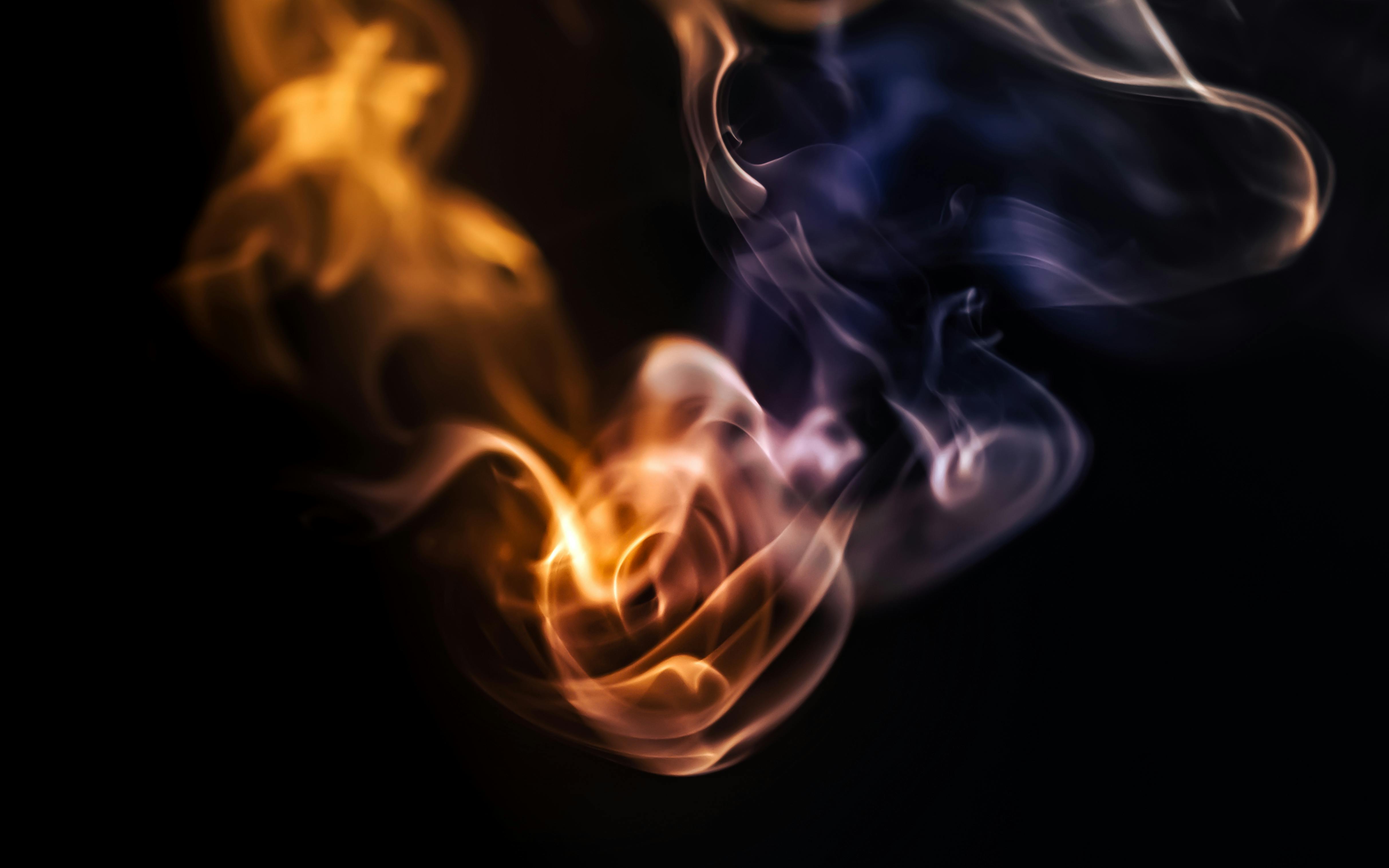 300+ Best Senses Photos · 100% Free Download · Pexels Stock Photos