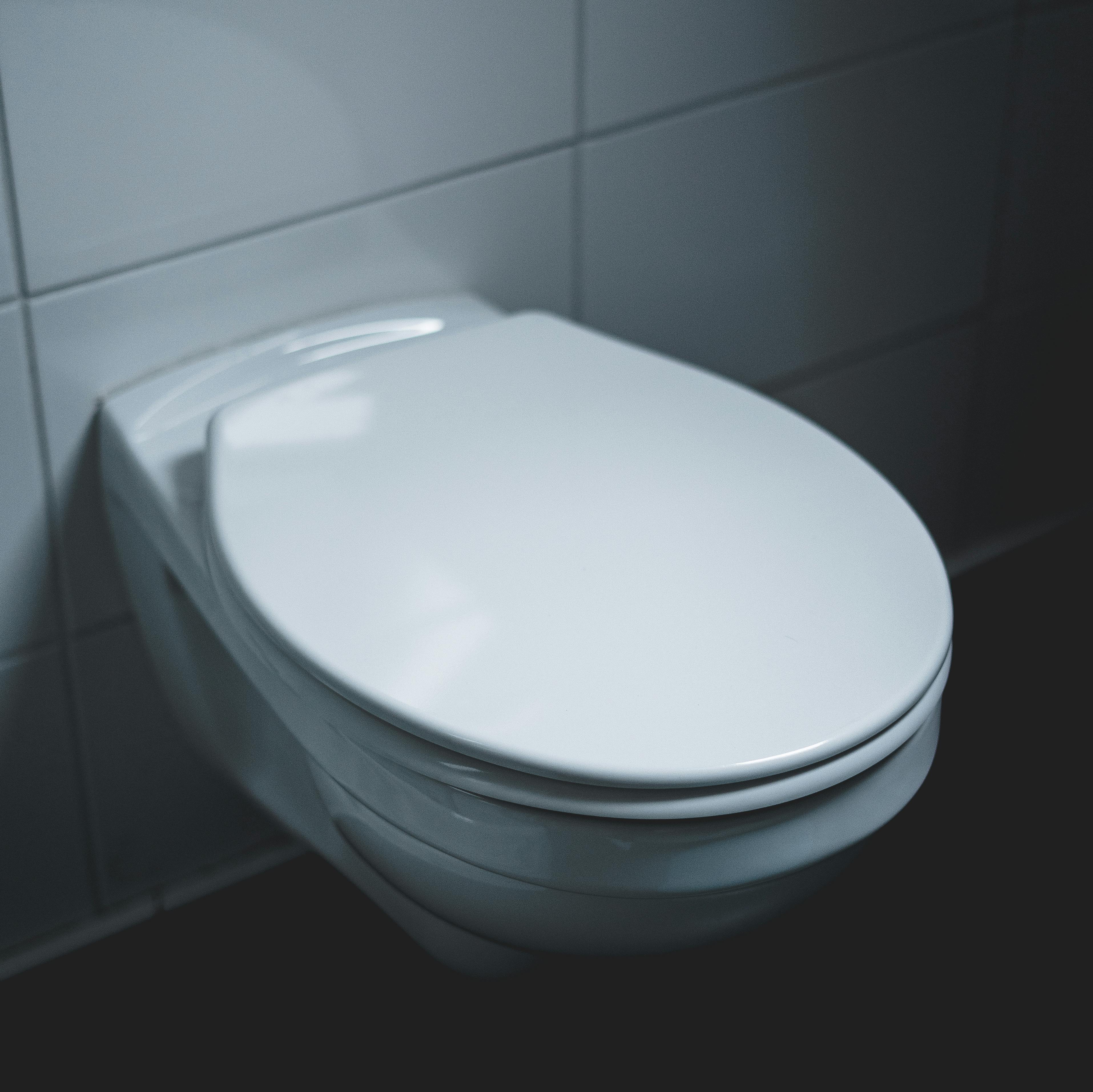 Close-up of Modern White Toilet in WC · Free Stock Photo