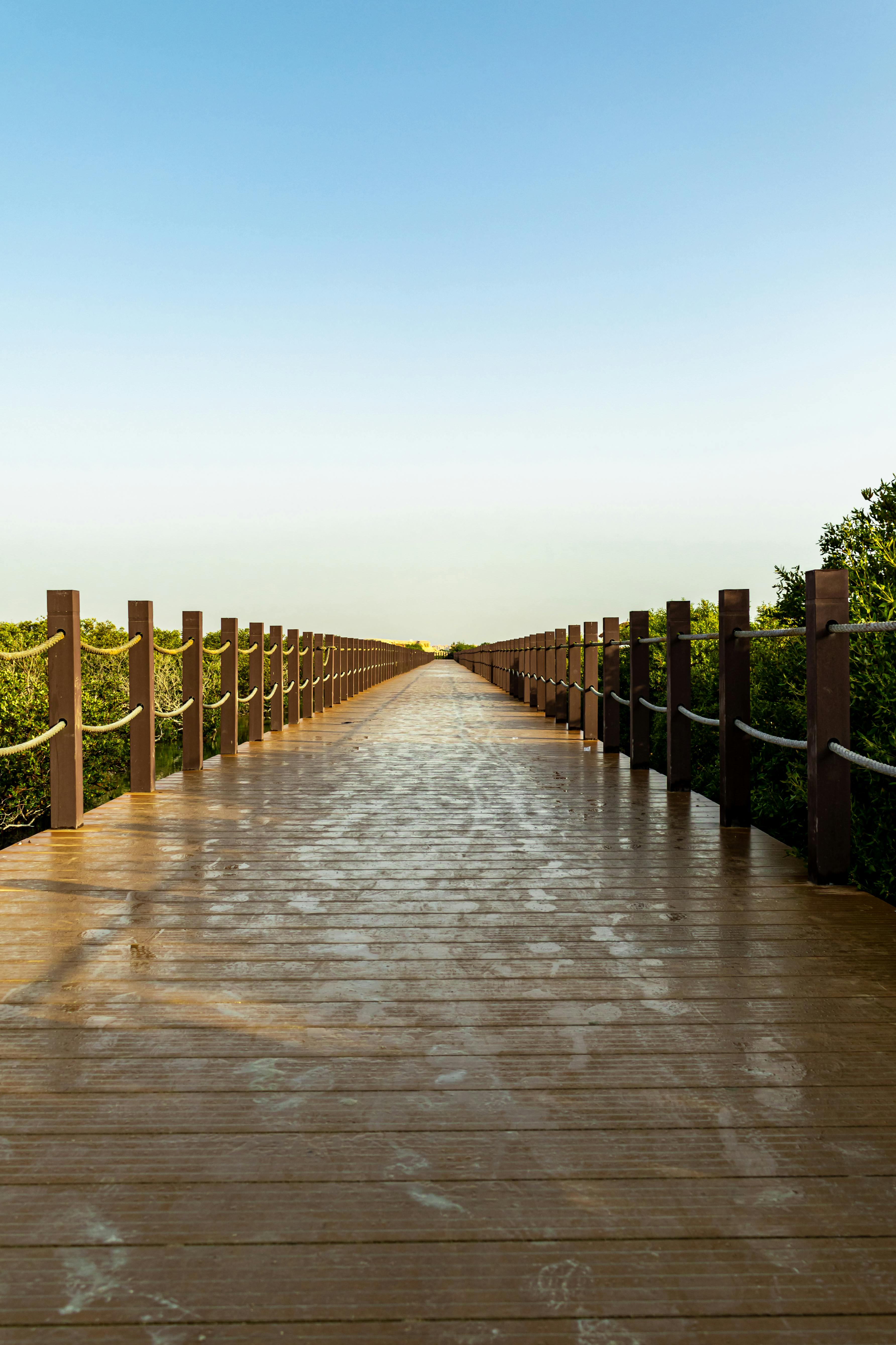 A Wooden Pathway with Railings · Free Stock Photo