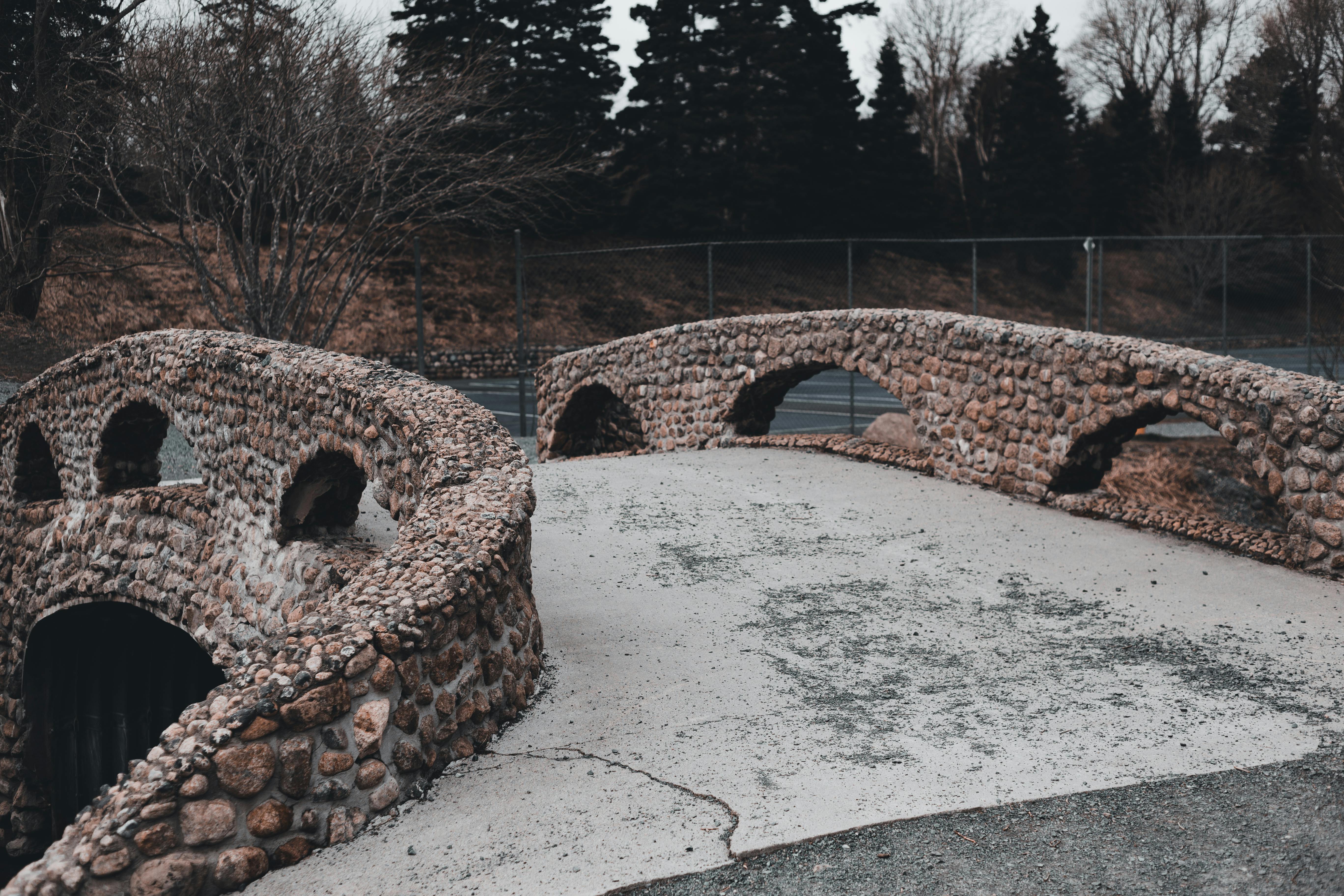 Bridge with railings near trees in countryside · Free Stock Photo