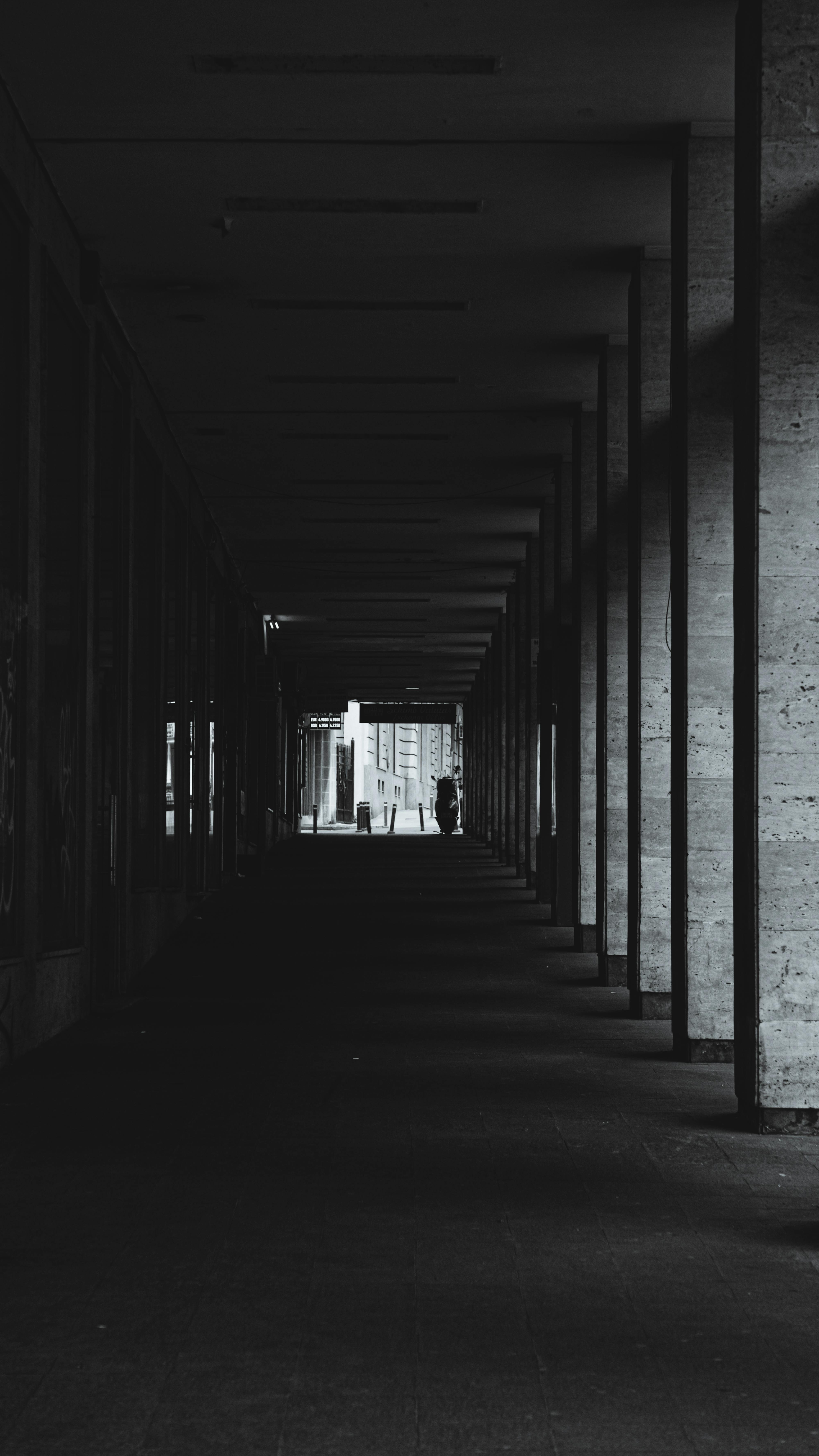 A Dark Pathway · Free Stock Photo