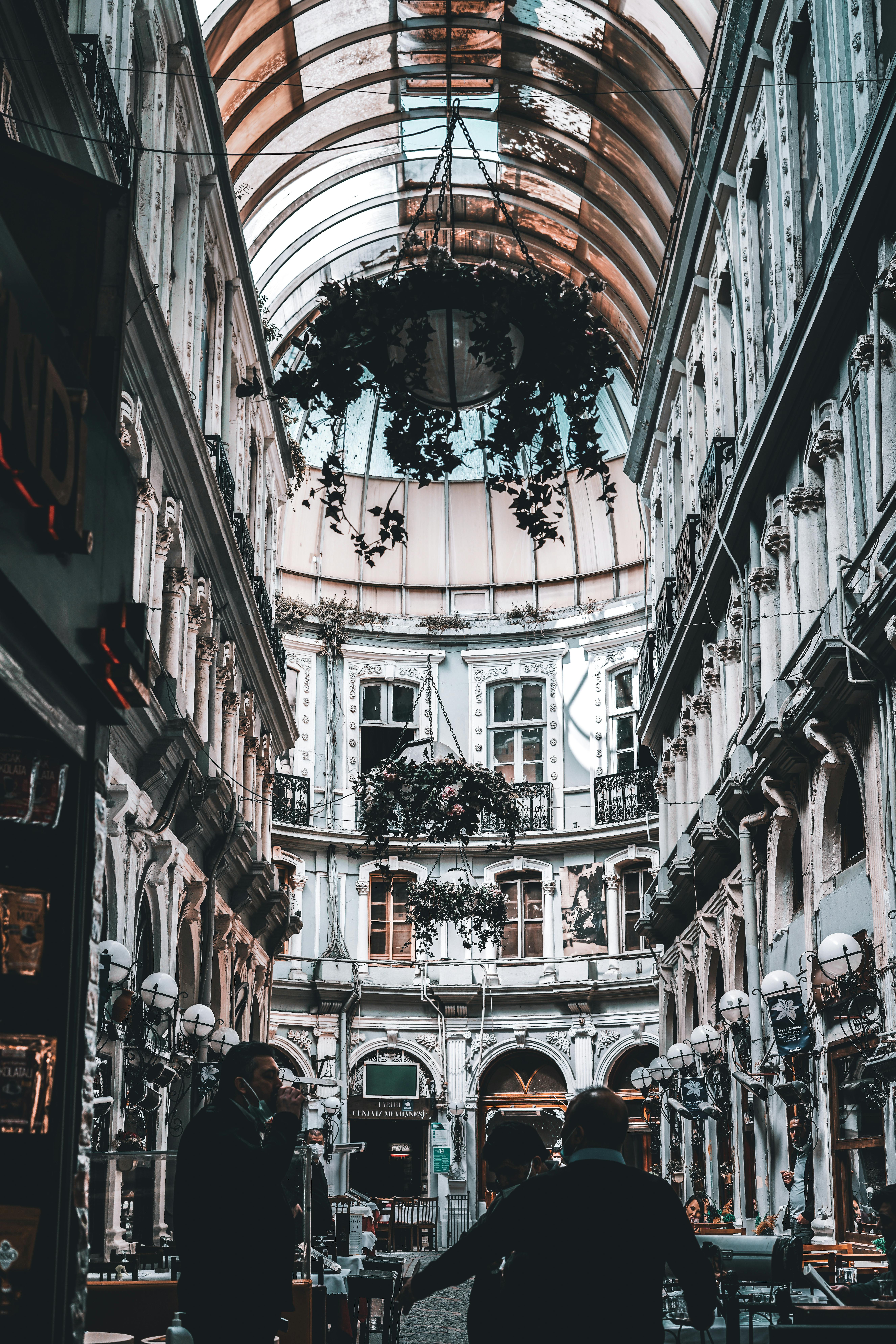 Architecture with Glass Arch Ceiling · Free Stock Photo